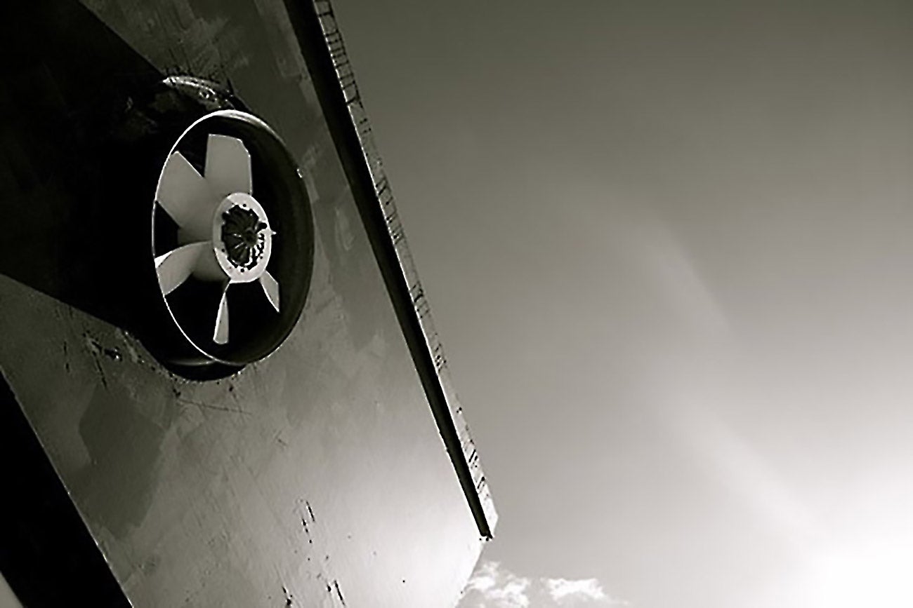 7 Principles for Propelling Your Startup to Success