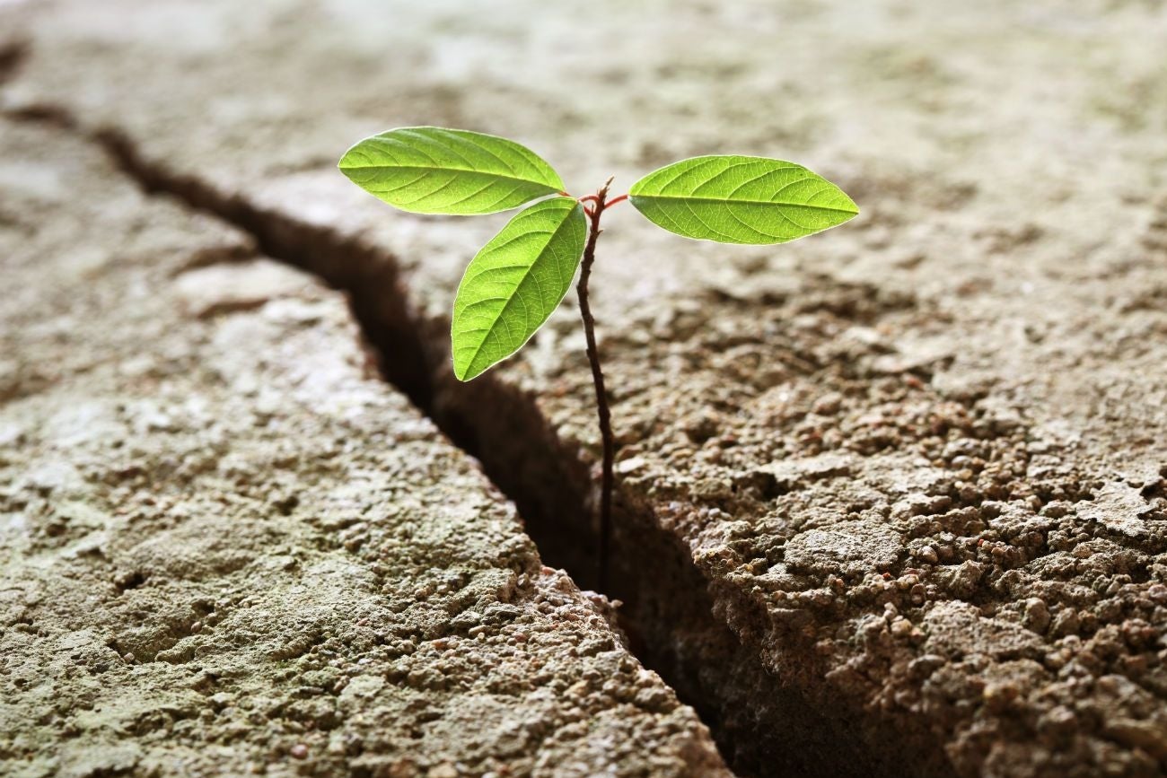 10 frases sobre la persistencia