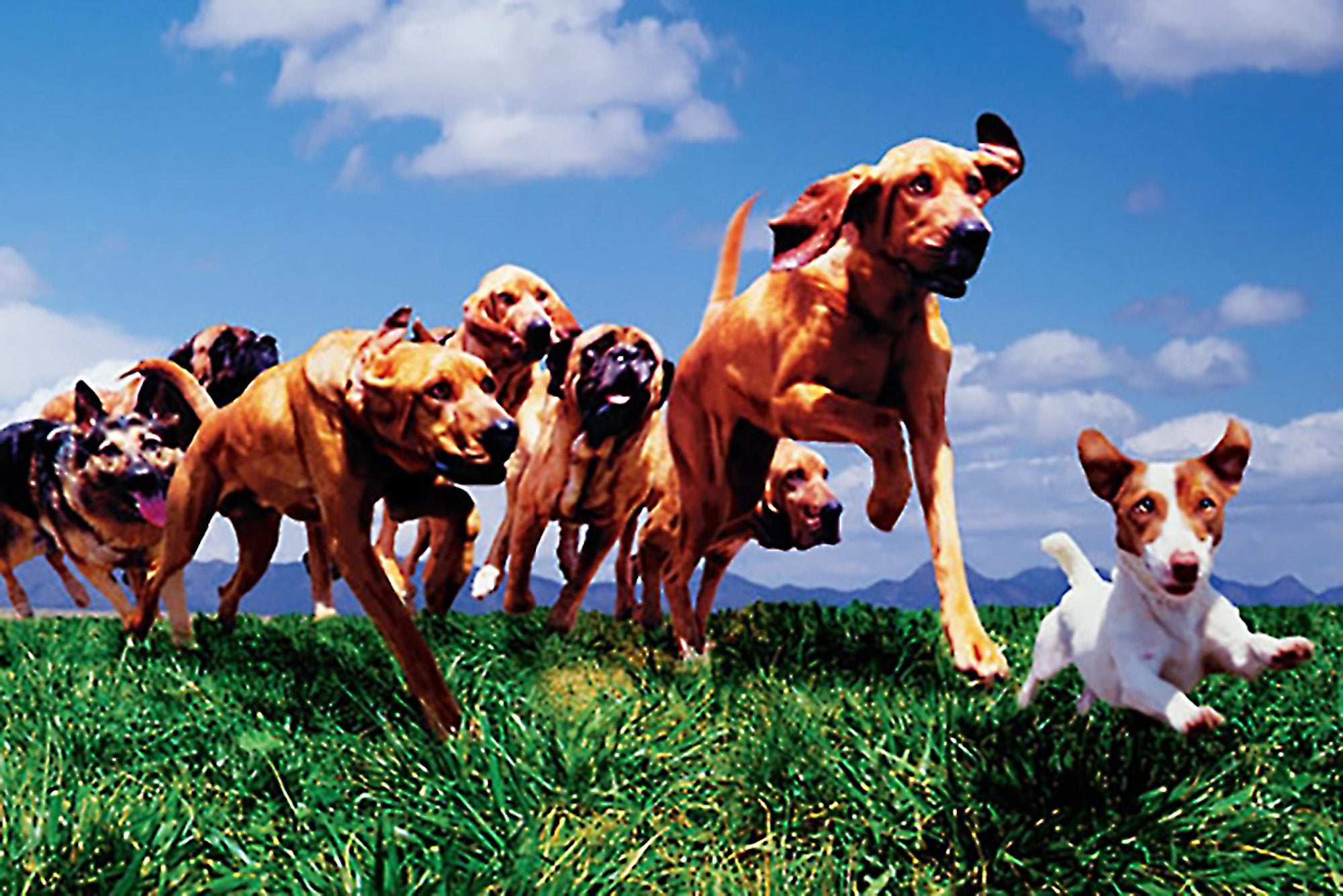 10 Iconic Motivational Posters | Entrepreneur