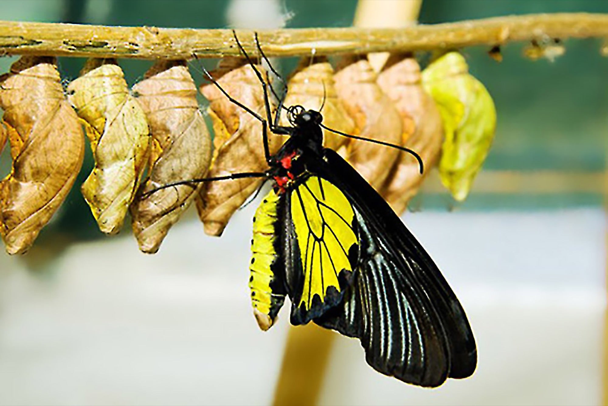 3 Ways to Defeat Resistance and Get Your Most Important Work Done ...