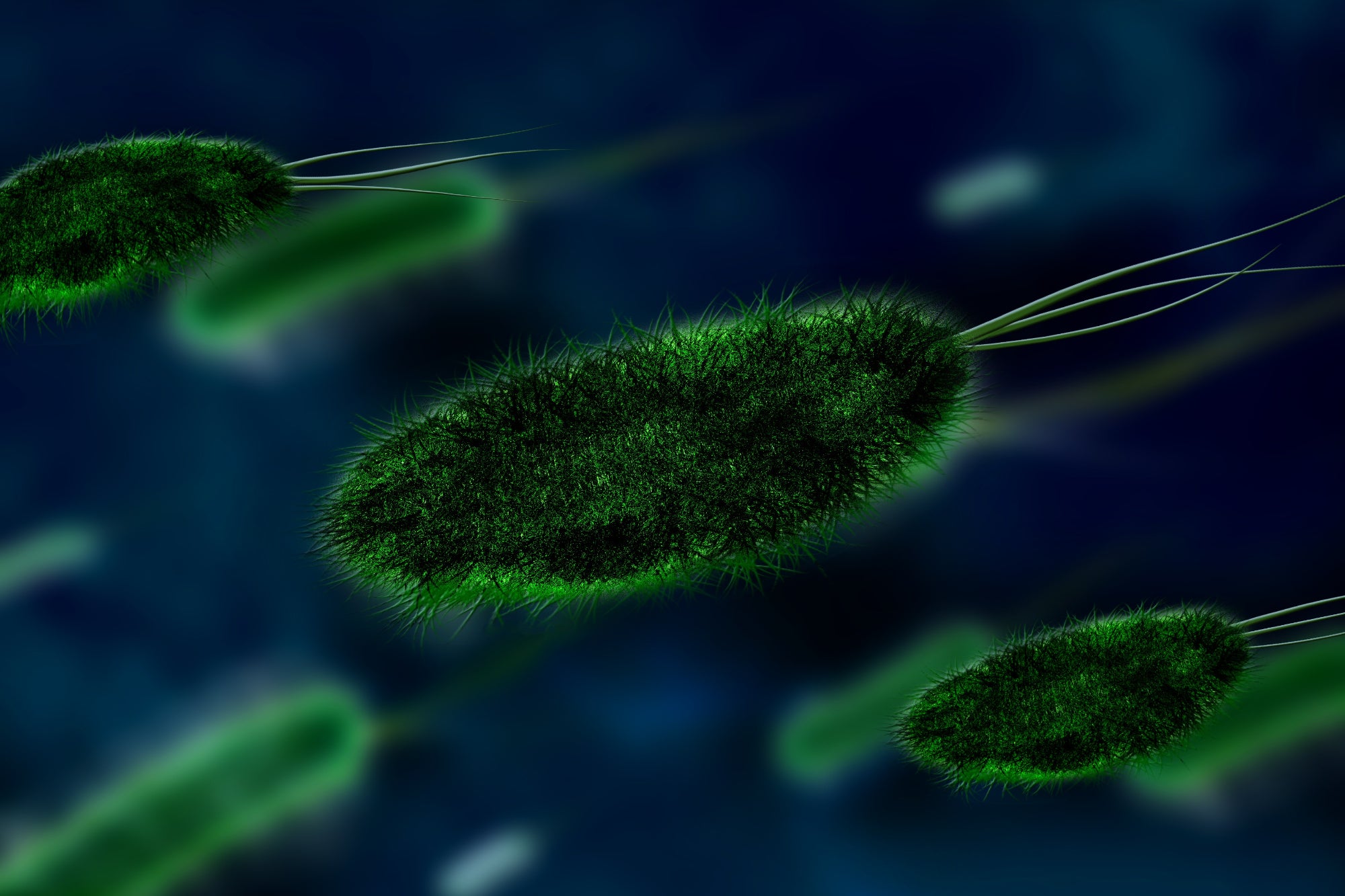 The Most Common Ways Pathogens Invade the Body | Entrepreneur