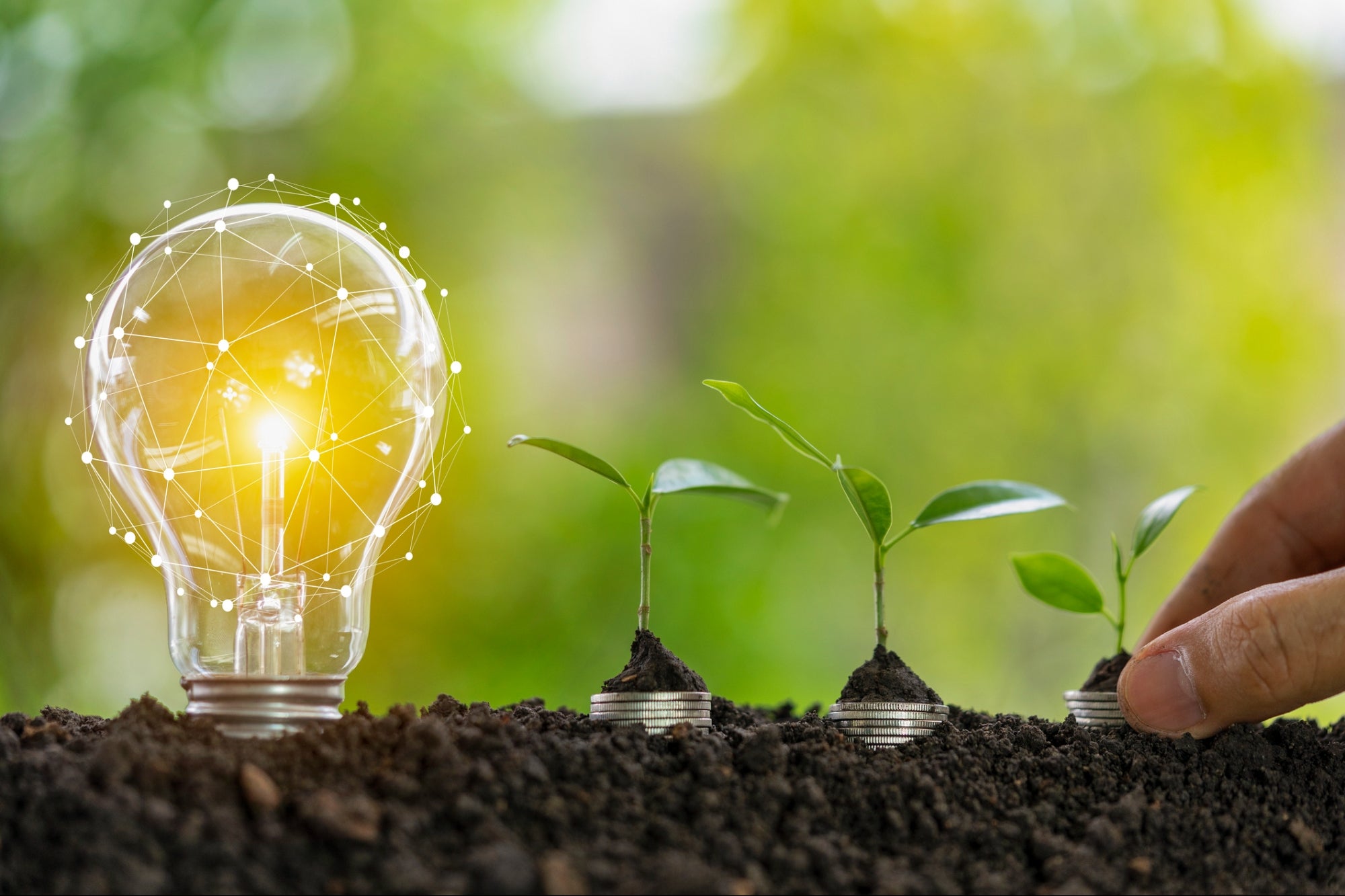 How To Get Funding For Your Eco Business Costaalegreresto