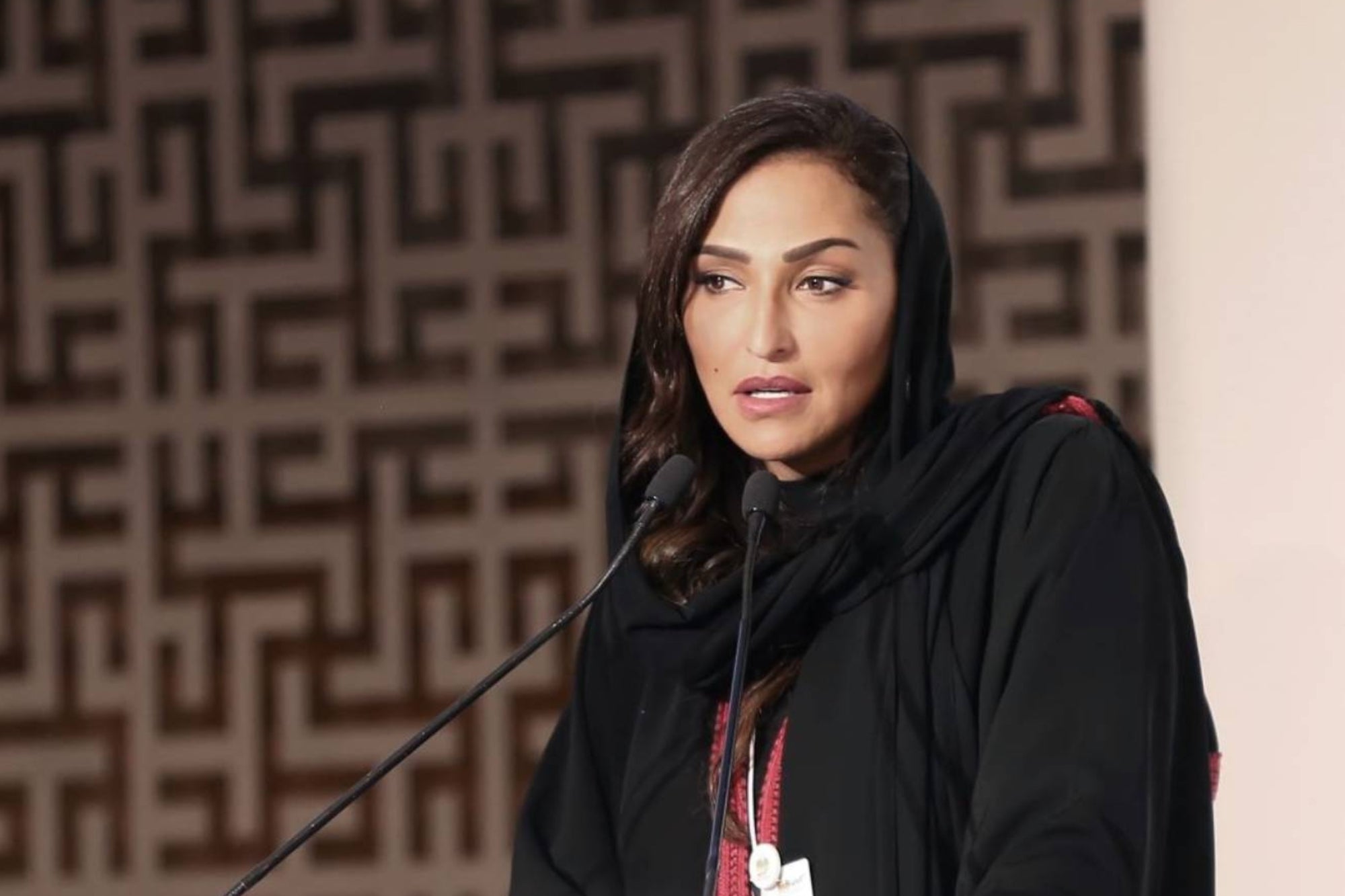 Against All Odds: HRH Princess Lamia Bint Majed Saud AlSaud