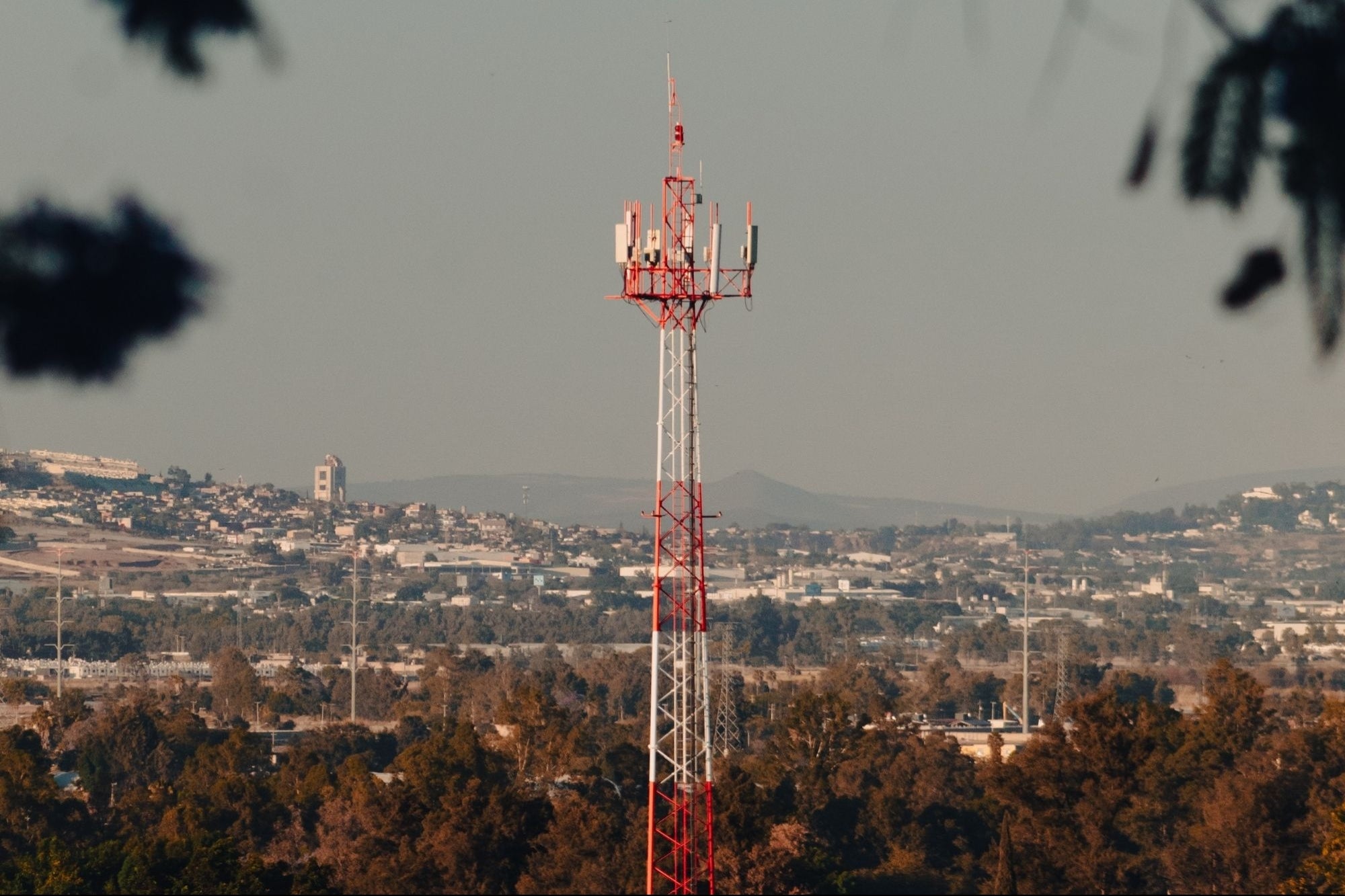 DoT Warns E-Commerce Companies Against Illegal Sale Of Network Jammers ...