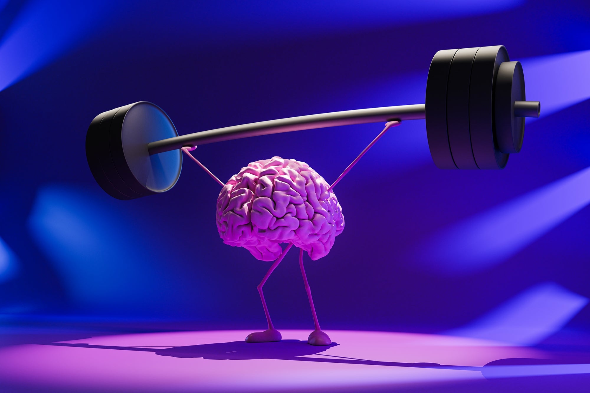 How To Train Your Brain And Reach The Highest Levels Of Success