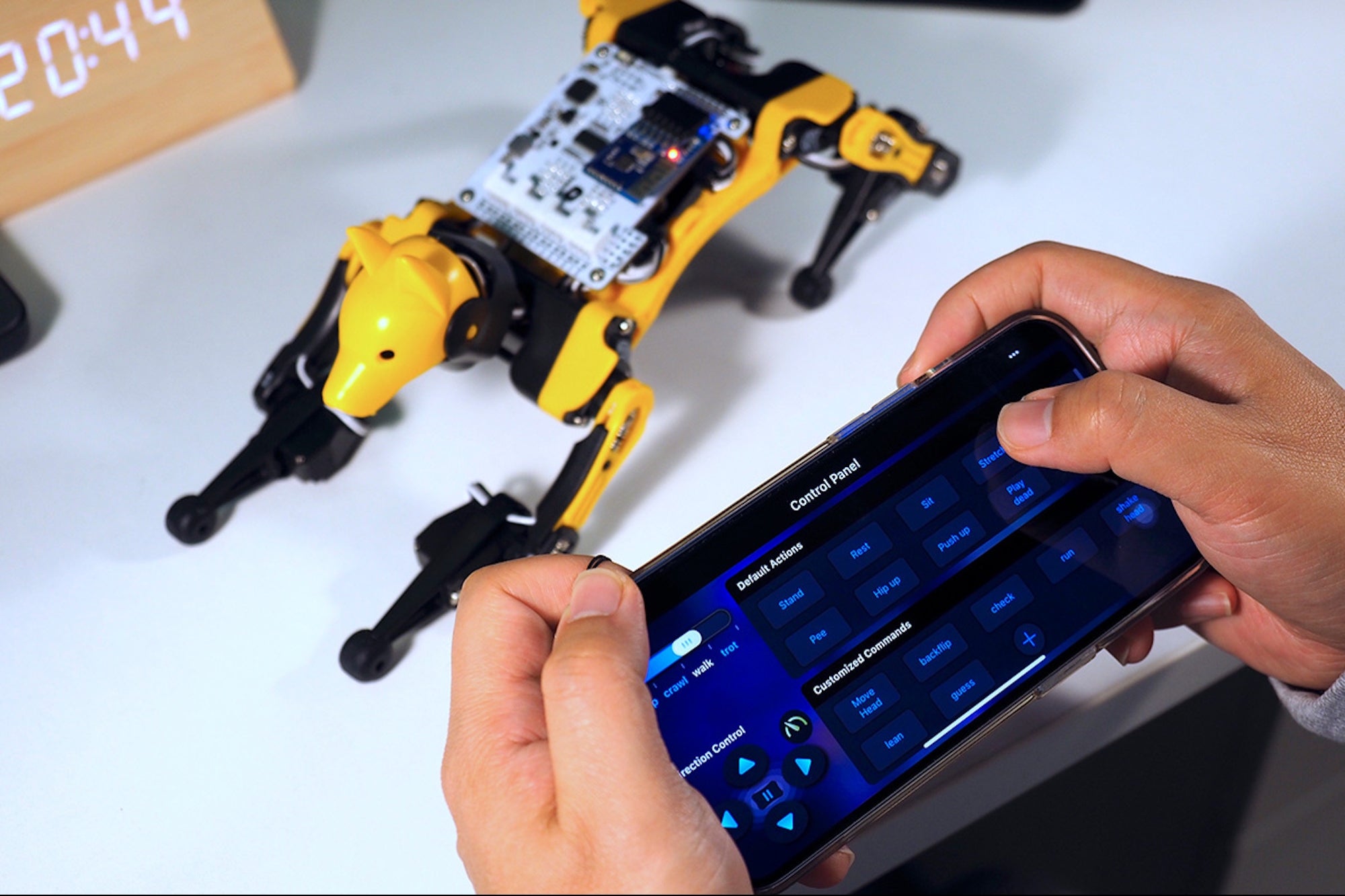 Learn the Skills of a Web Developer With This Programmable Dog ...