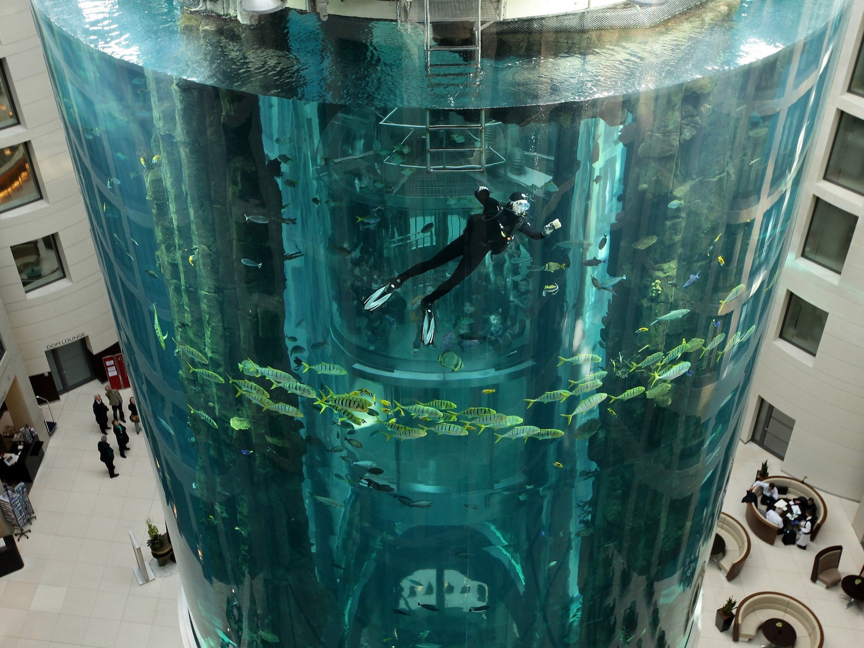 Bill Gates Living Room Aquarium