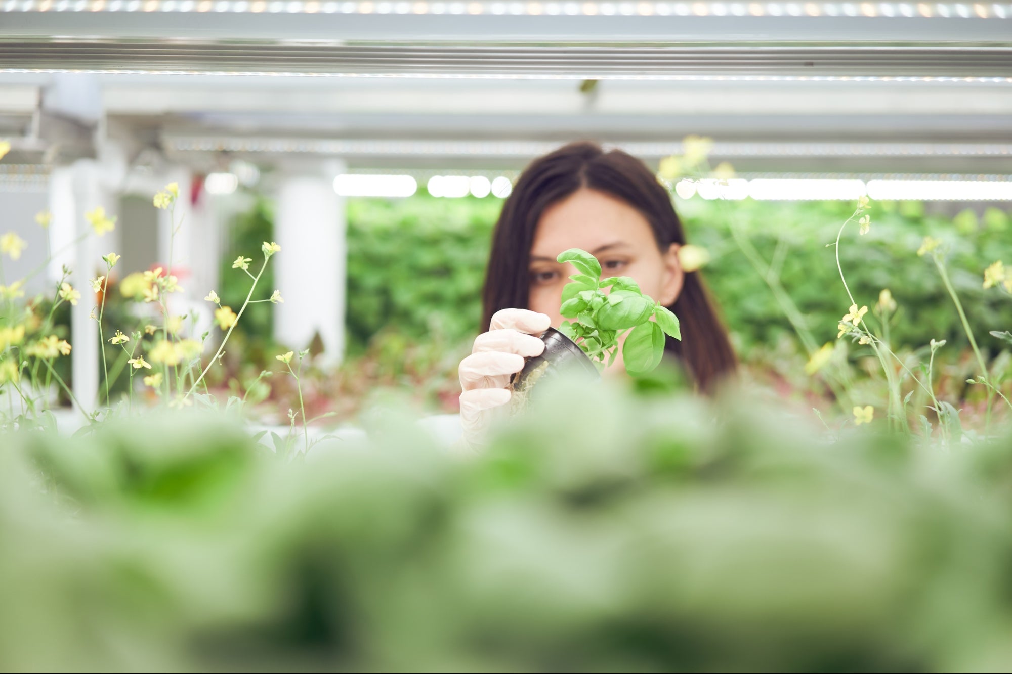 Are Basic Industries a Good Career Path? | Entrepreneur