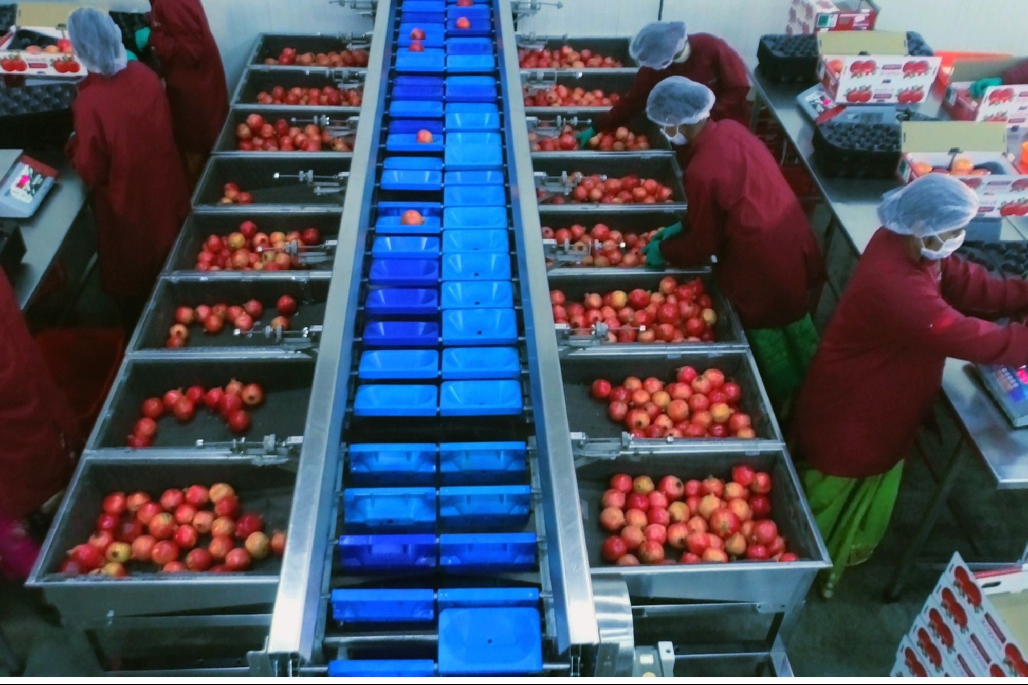 Aavishkaar Capital Invests INR 16 Crore In INI Farms | Entrepreneur