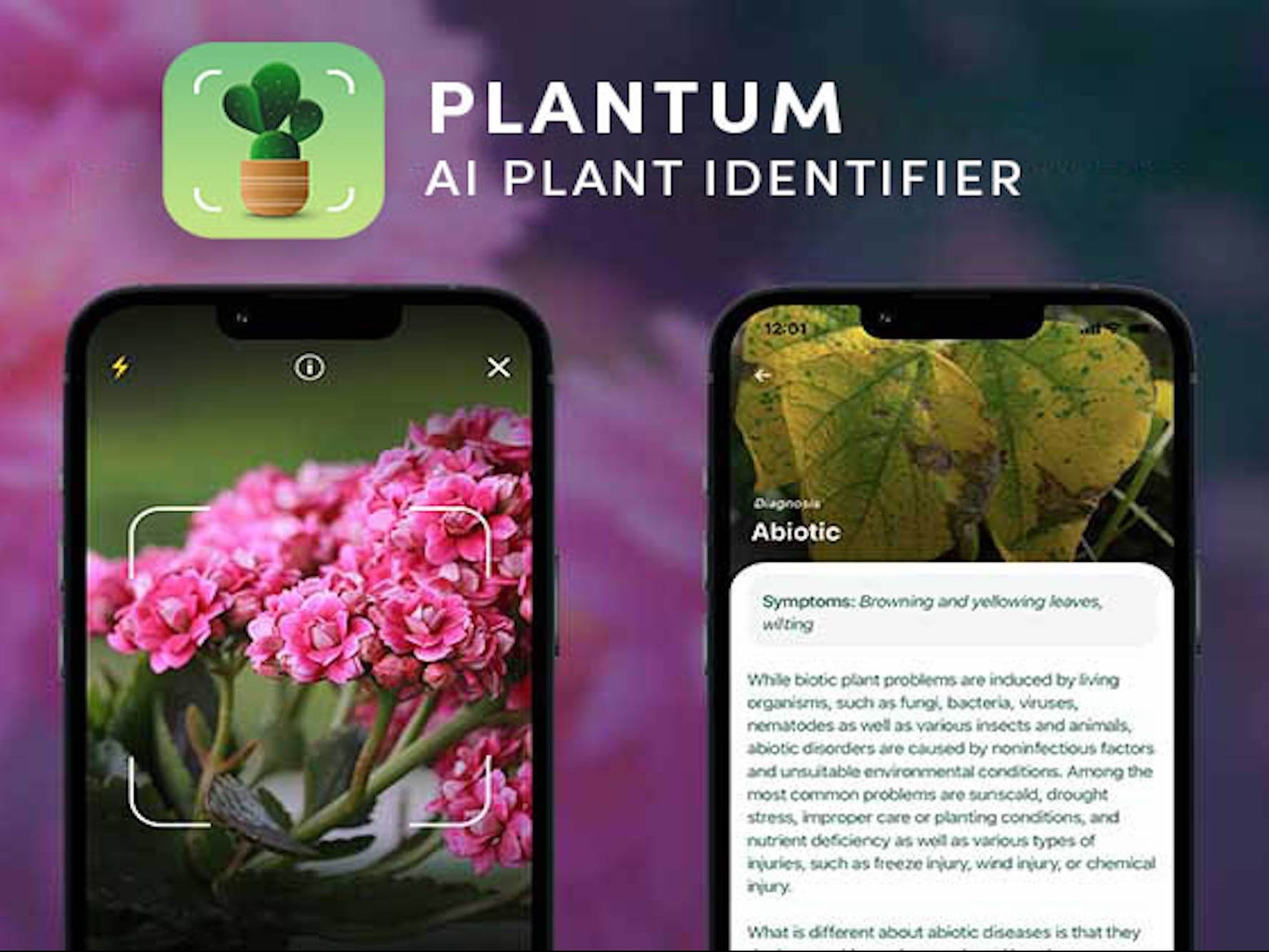 Plant Identification And Care PlantSnap Plant Identifier App, #1
