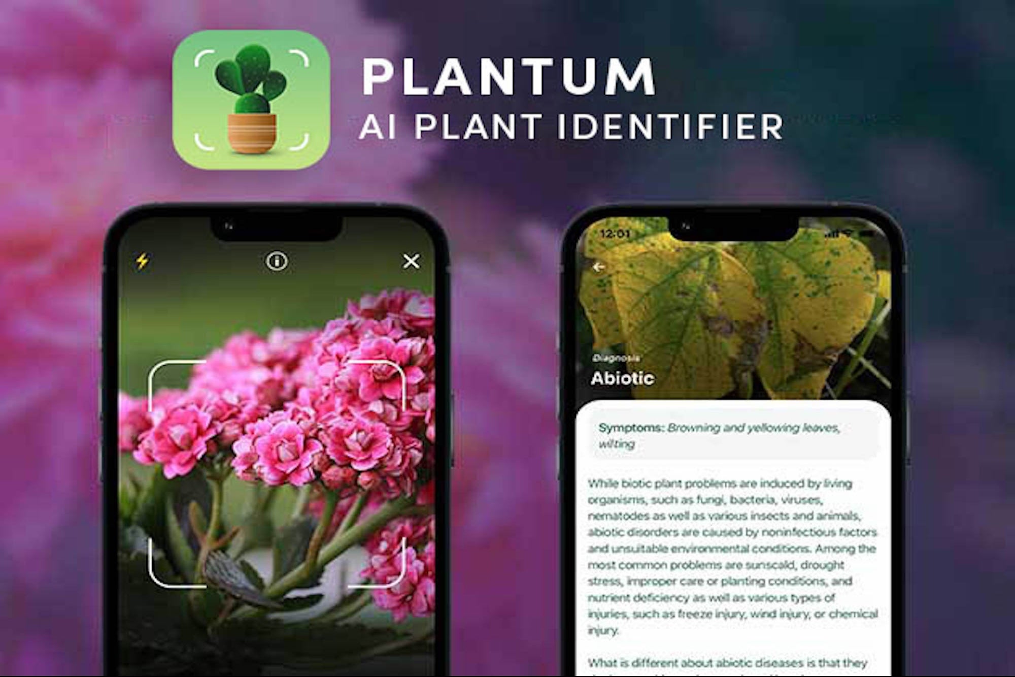 Keep Your Plants Healthy With This Simple AI Powered App Entrepreneur Keep Your Plants Healthy With This Simple AI Powered App Entrepreneur