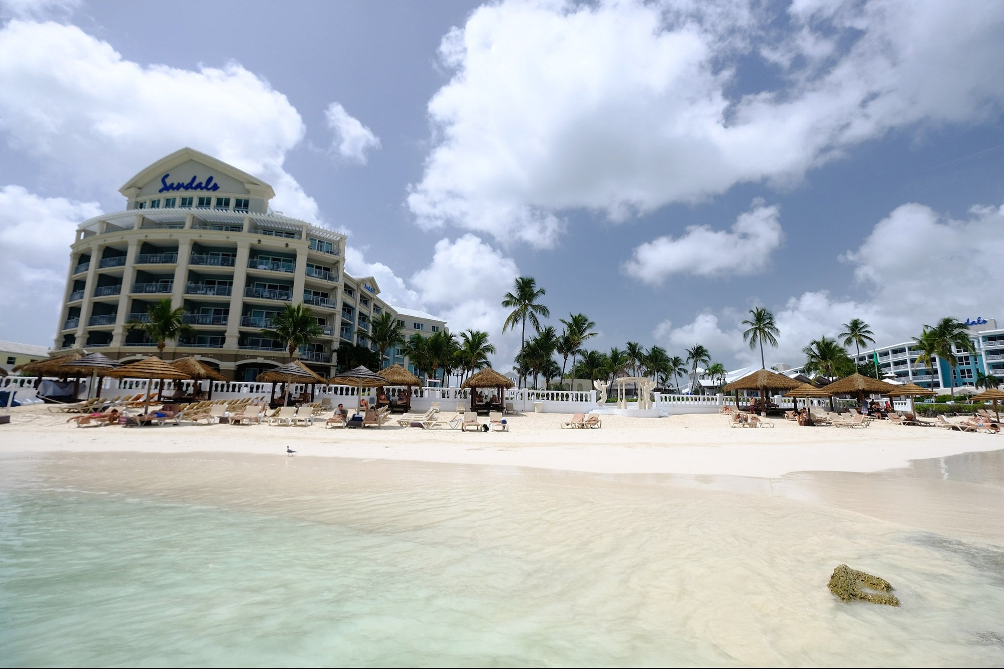 U.S. Tourist Killed in Paddleboard Shark Attack in Bahamas | Entrepreneur