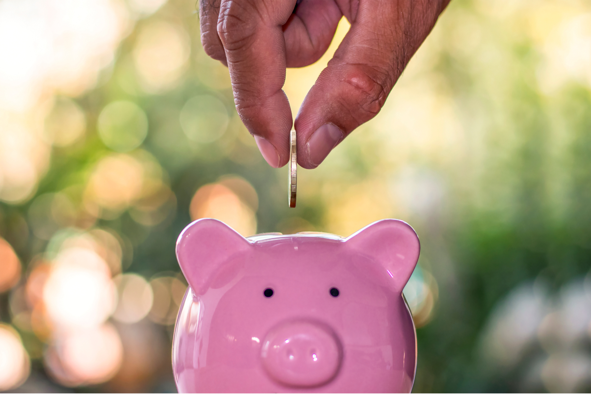 toothsi Parent Co makeO Bags $16 M in a New Funding Round | Entrepreneur