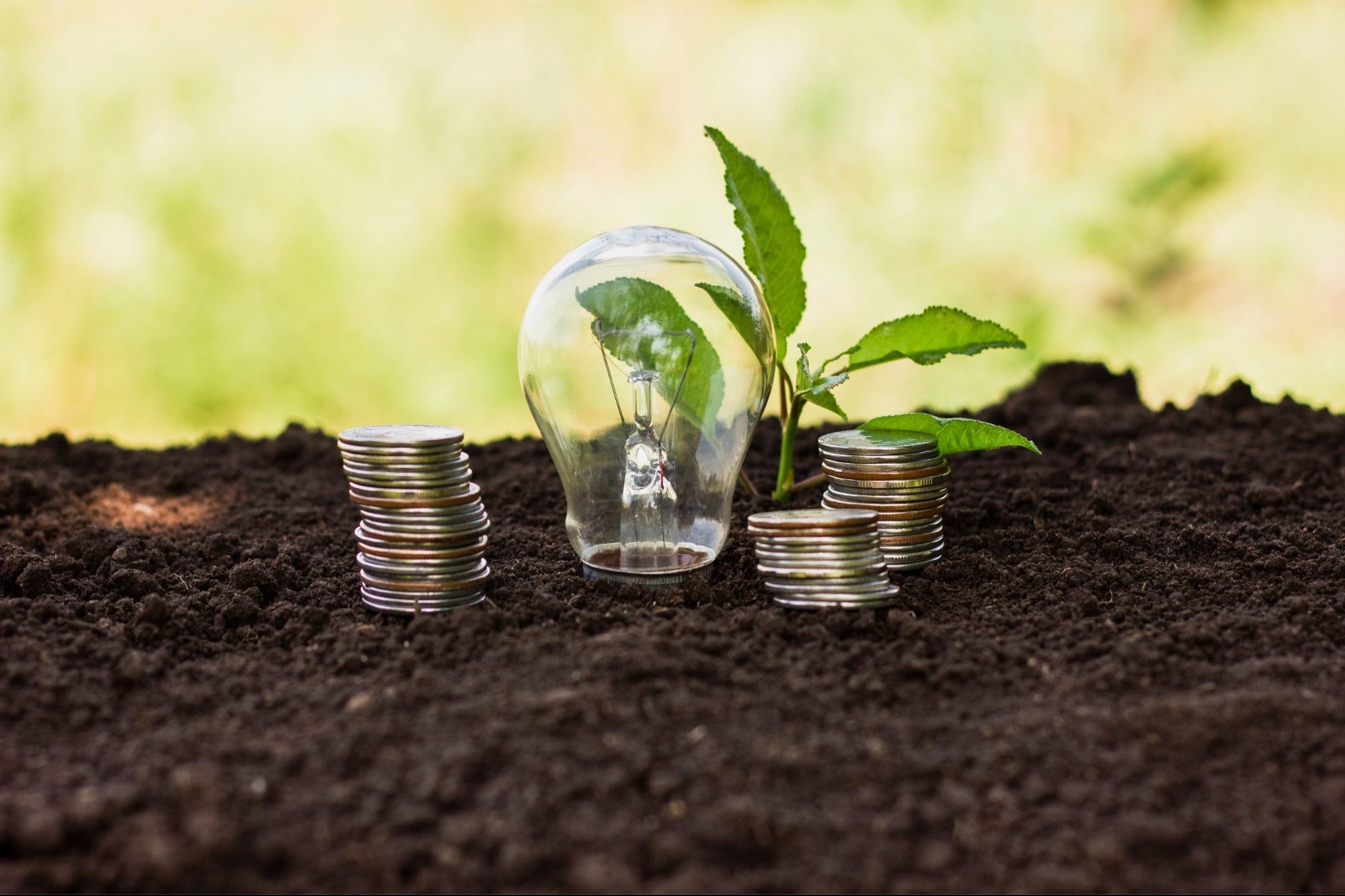 SIDBI Secures First Green Climate Fund (GCF) Project | Entrepreneur