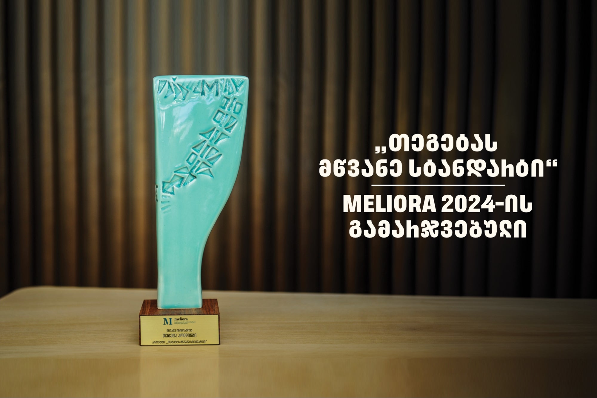 "თეგეტას მწვანე სტანდარტი" – "თეგეტა ჰოლდინგი" Meliora 2024-ის გამარჯვებულია | Entrepreneur
