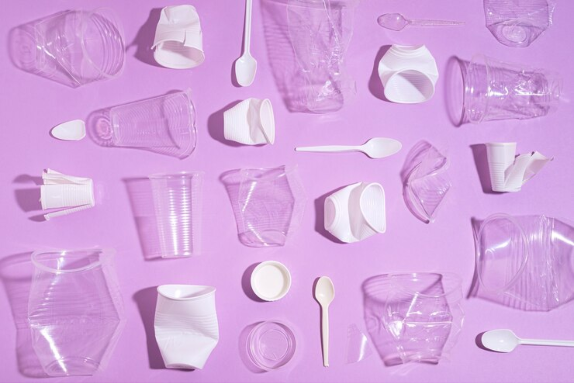 From Waste to Wonder: These Startups are Giving Plastic a Second Chance ...