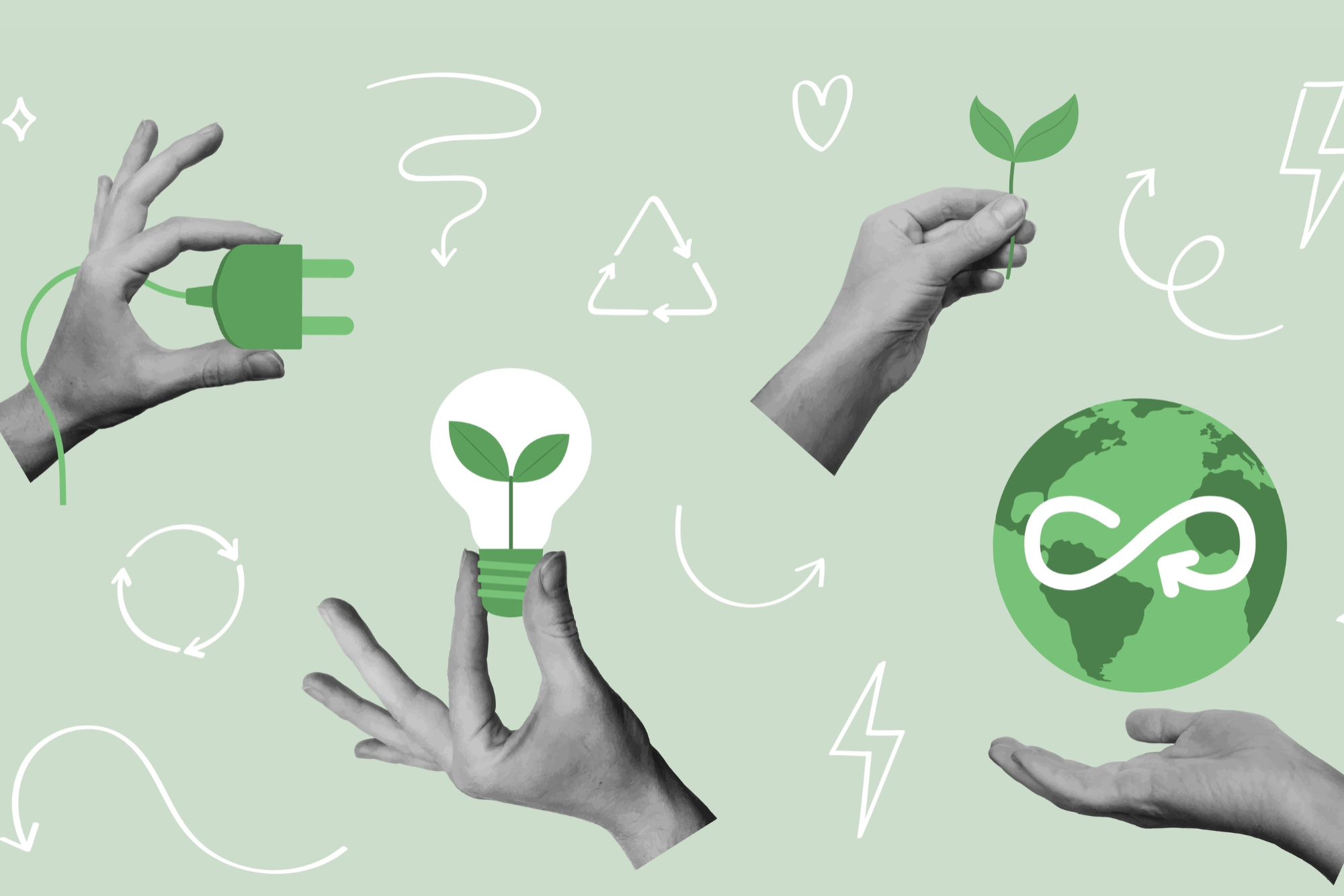 ESG for SMEs: Investment or Expense? A Carbon Expert's Perspective ...