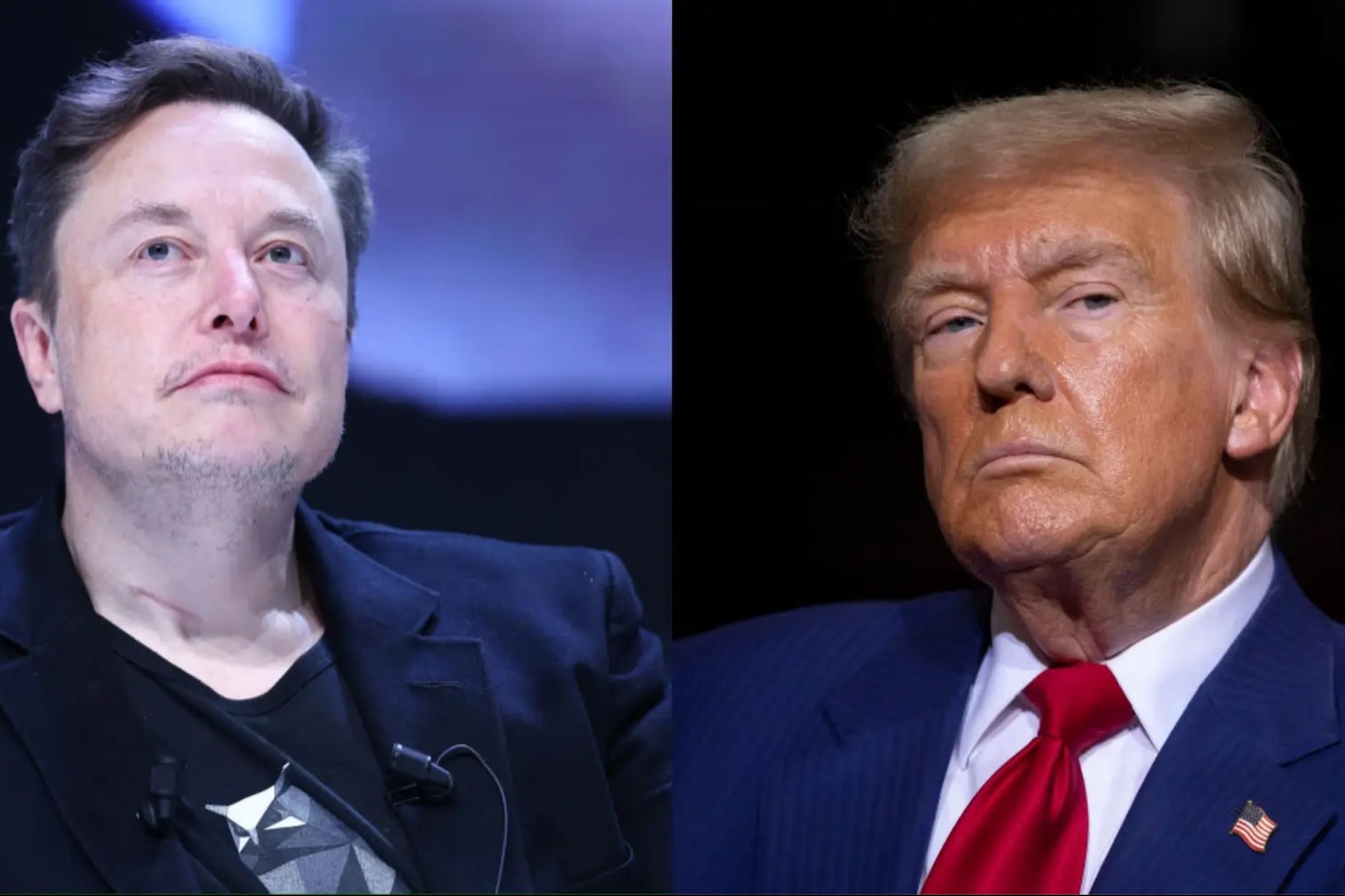 An Elon Musk-Inspired Donald Trump Could Fuel a Startup Boom | Entrepreneur