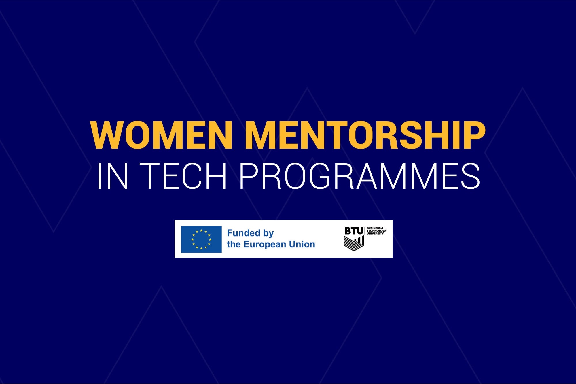 One of the largest projects, "Mentoring Women in Tech Programs ...