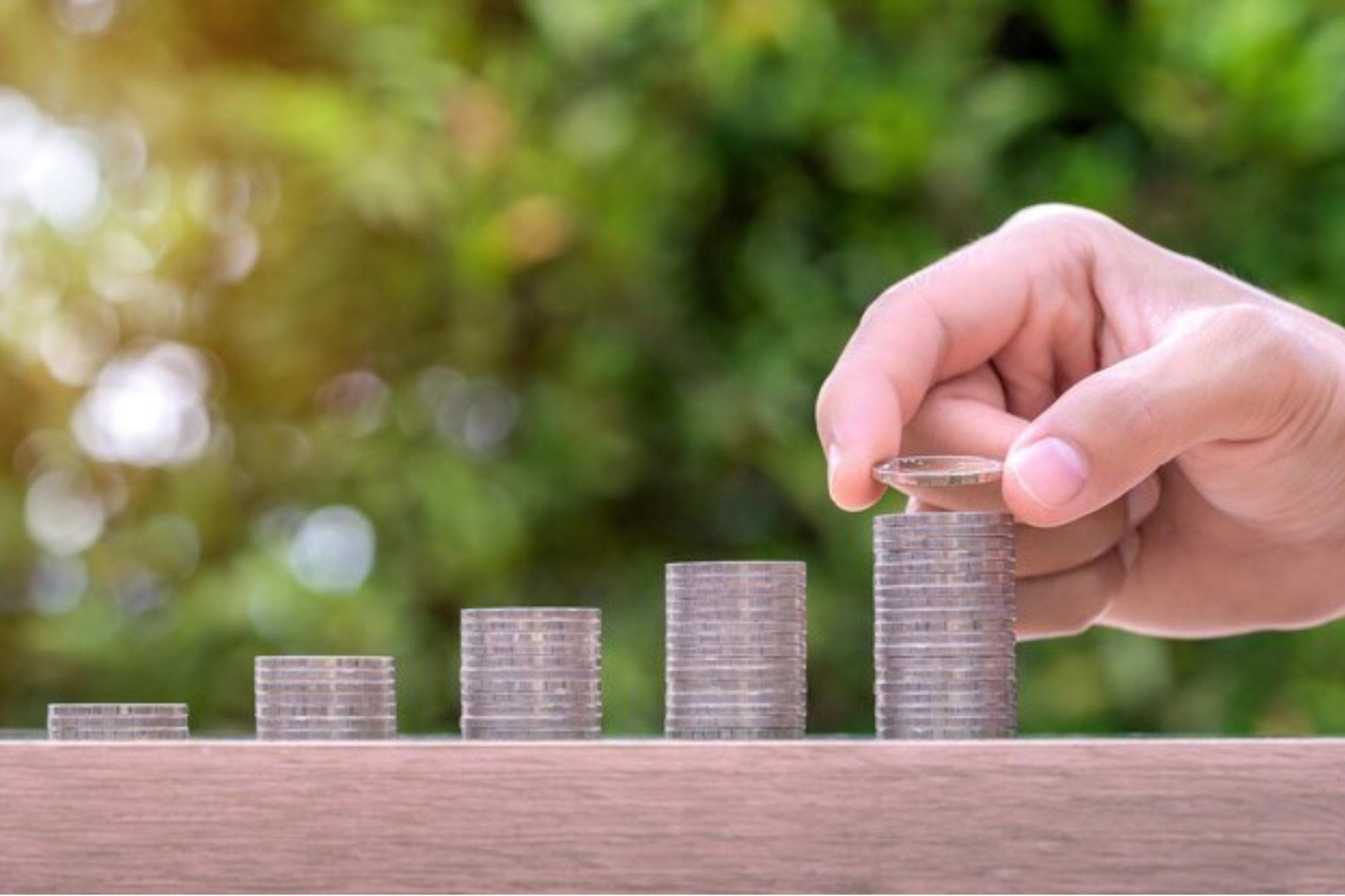 SamVed Launches USD 50 Mn Fund to Back Early-Stage Tech Startups in ...