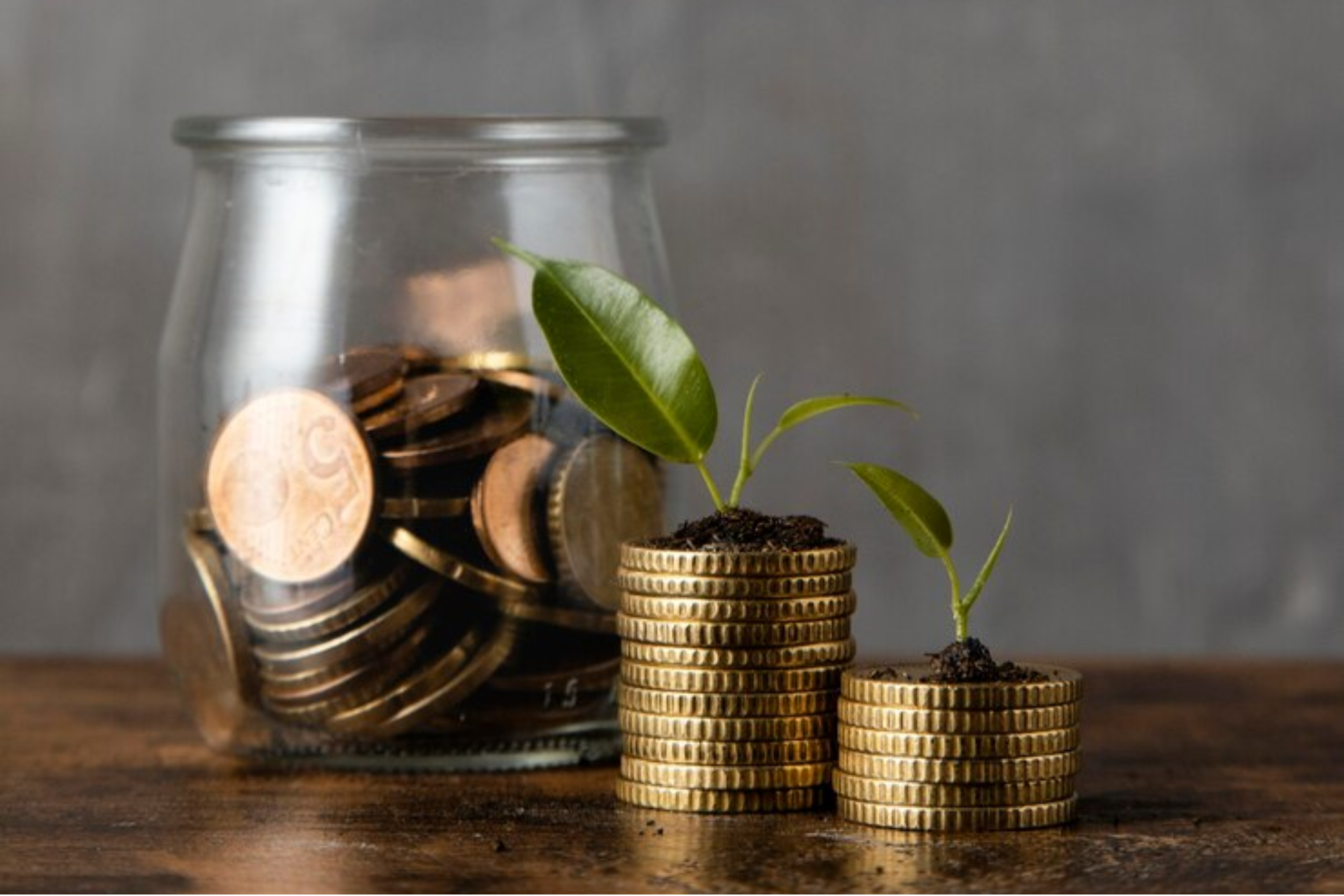 Neo Asset Management Closes First Round of Private Credit Fund at INR ...