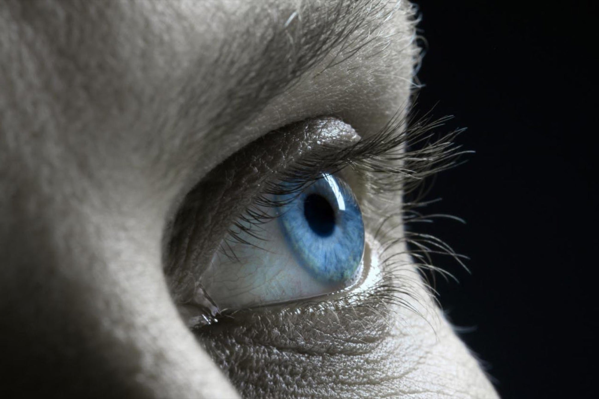 How You Should Be Marketing to the Visually Impaired