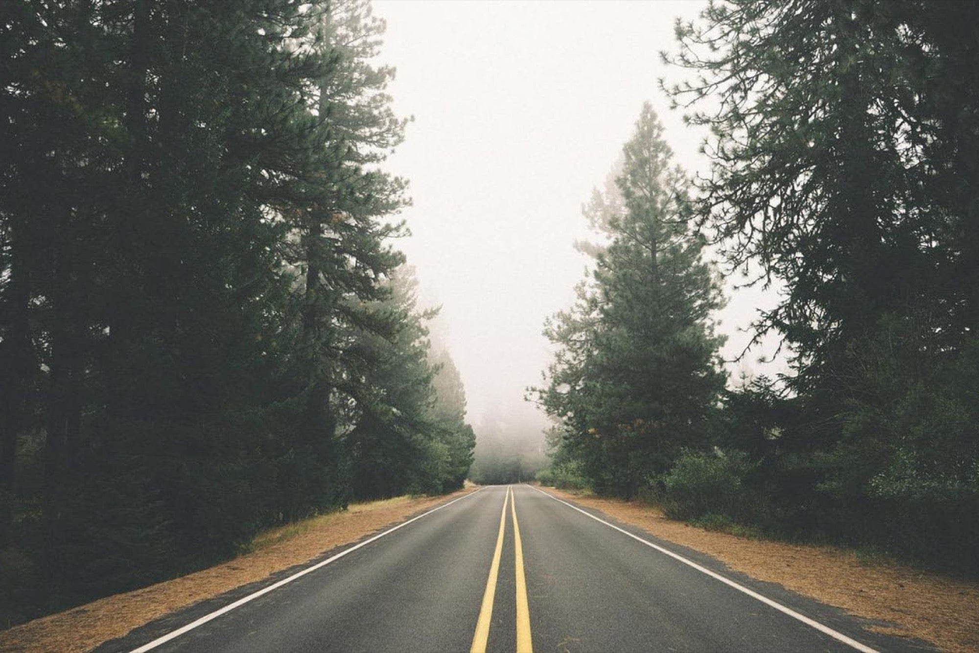 3 Reasons Why 'The Journey Is the Reward' | Entrepreneur