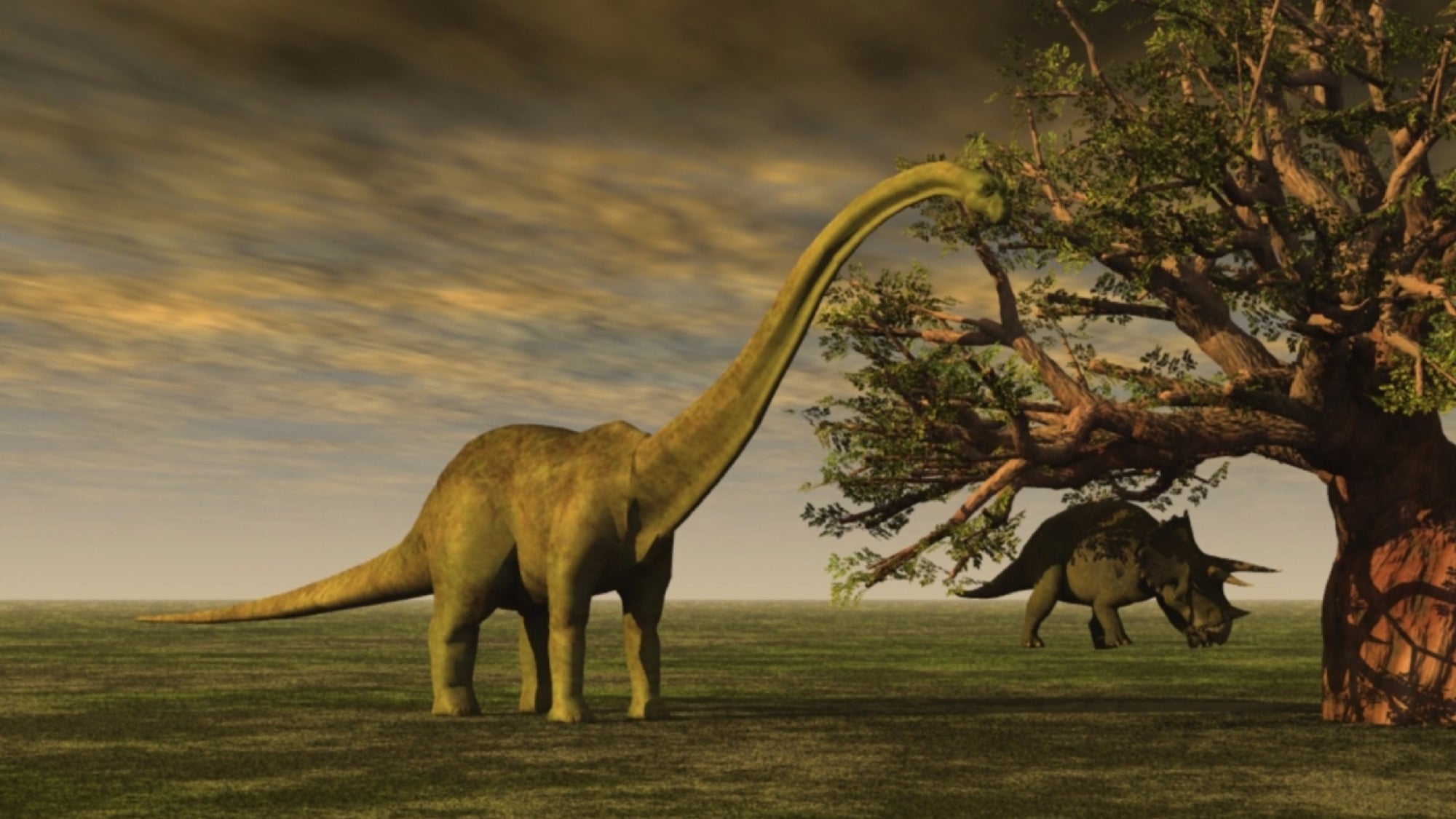 Dinosaurs Brontosaurus