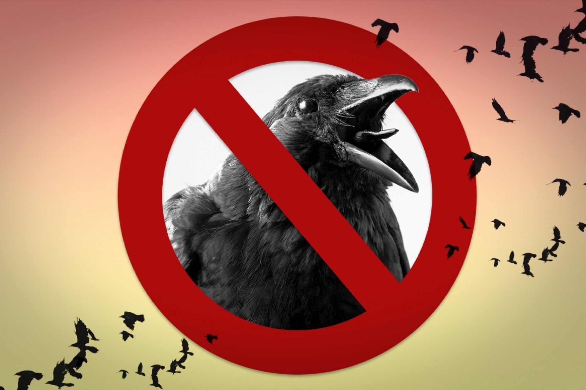 5 Ways We Can All Silence Our Inner Crow | Entrepreneur