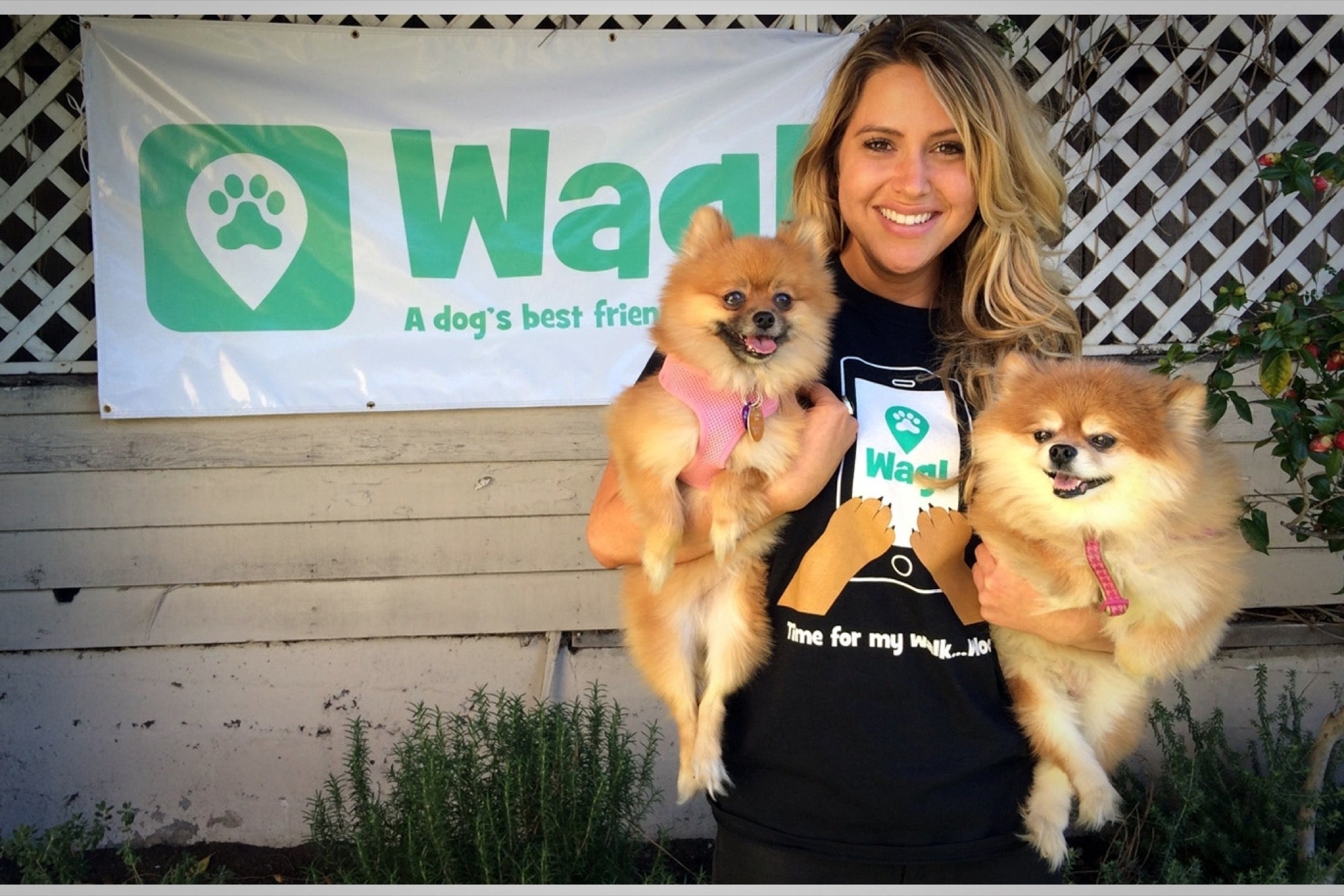 Meet Wag, an App to Help You Find a Dog Walker | Entrepreneur