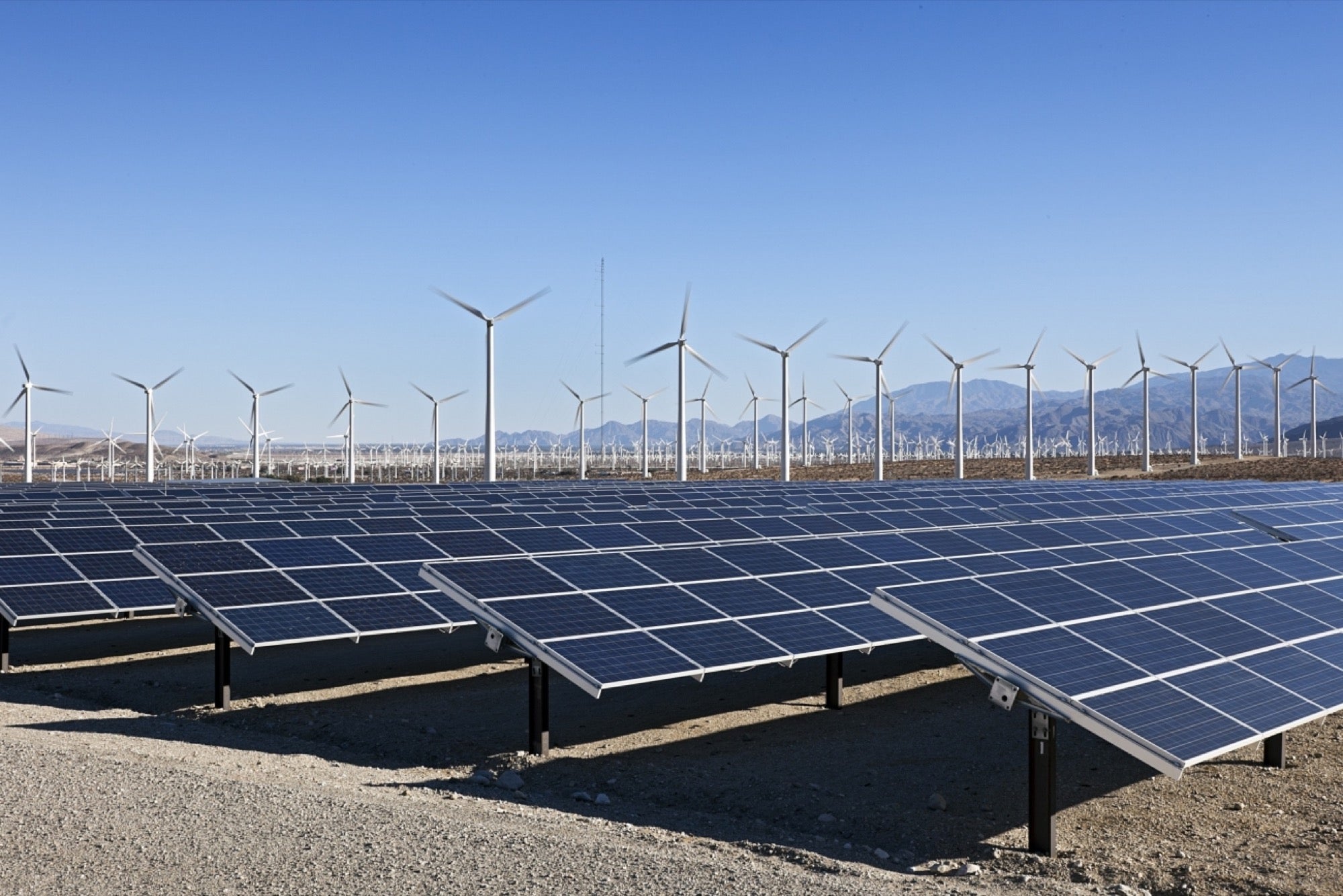 The UAE's Clean Energy Sector: Opportunities Aplenty For Entrepreneurs ...