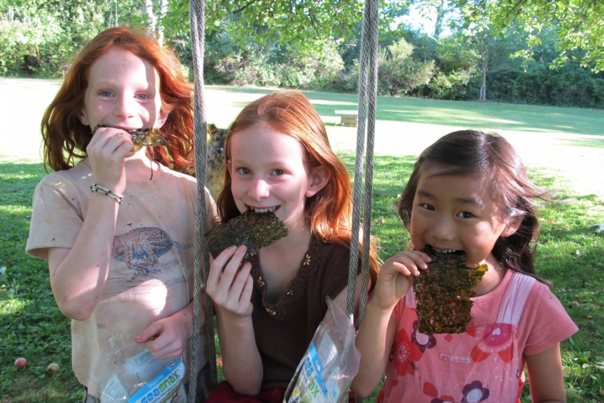 How a Health-Conscious Mom Convinced Millions to Snack on Seaweed # ...