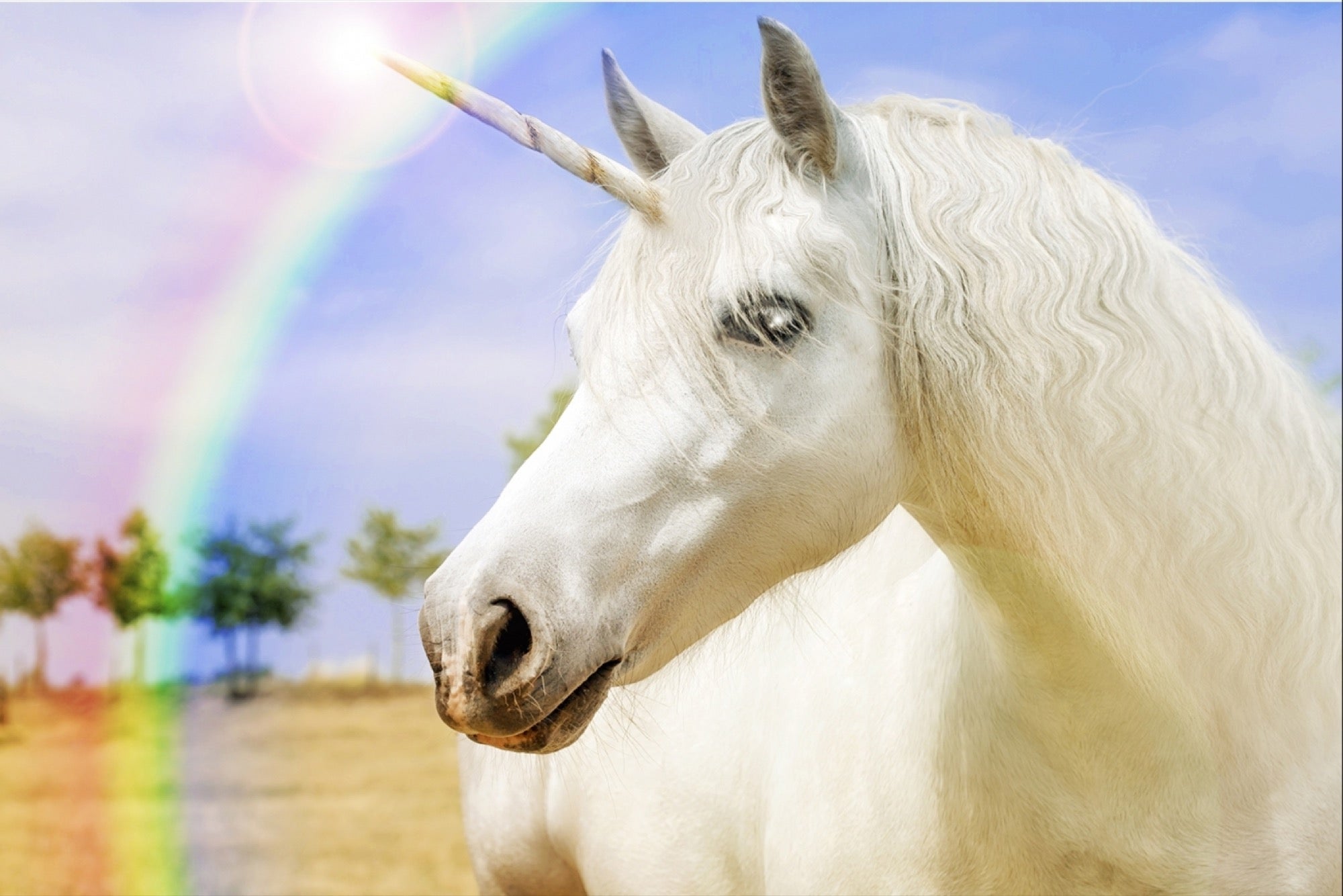 4 Ways To Scale And Capture Your Unicorn Horn