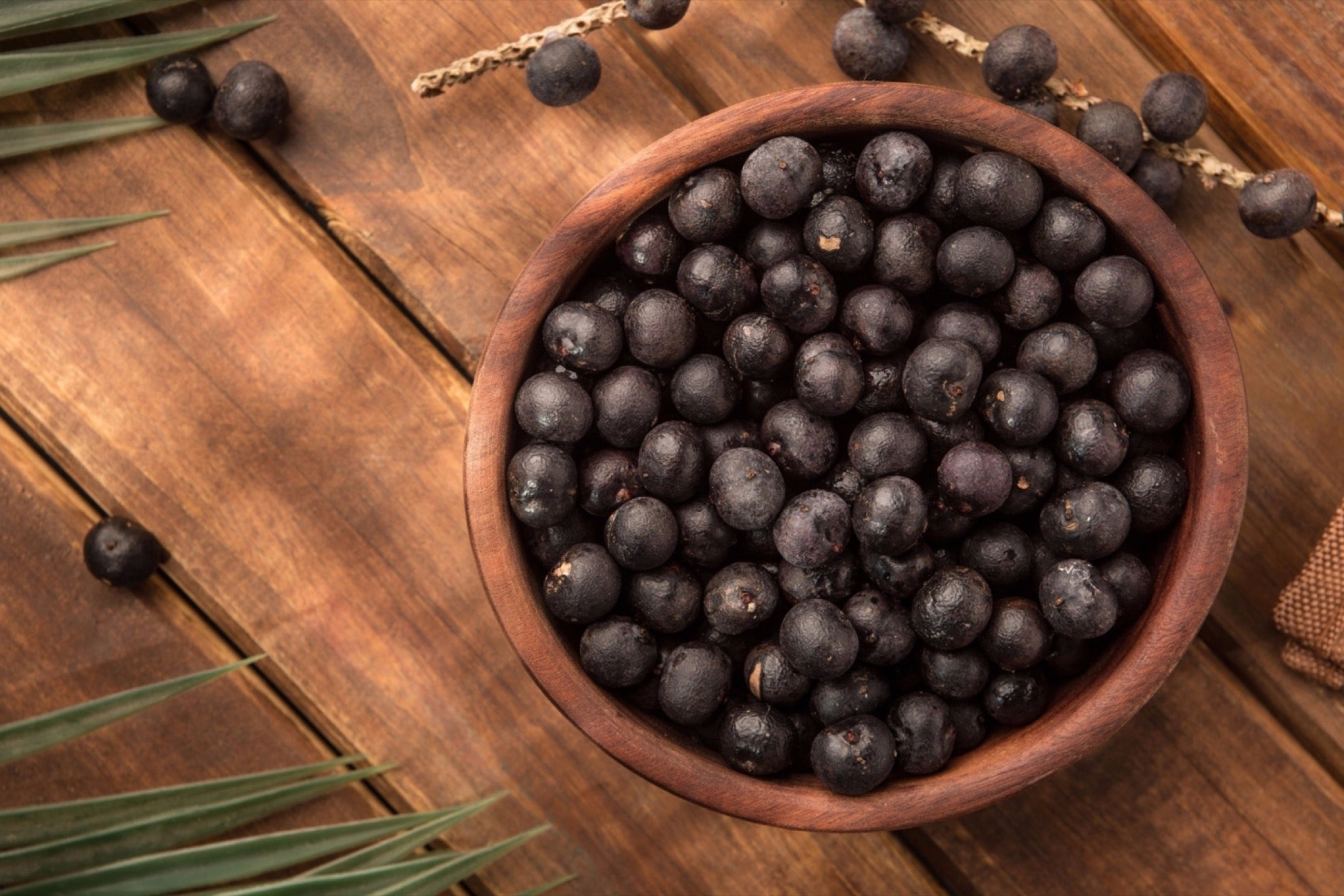 The Açaí Berry: Combining Powerhouse Nutrition with Powerhouse Business ...