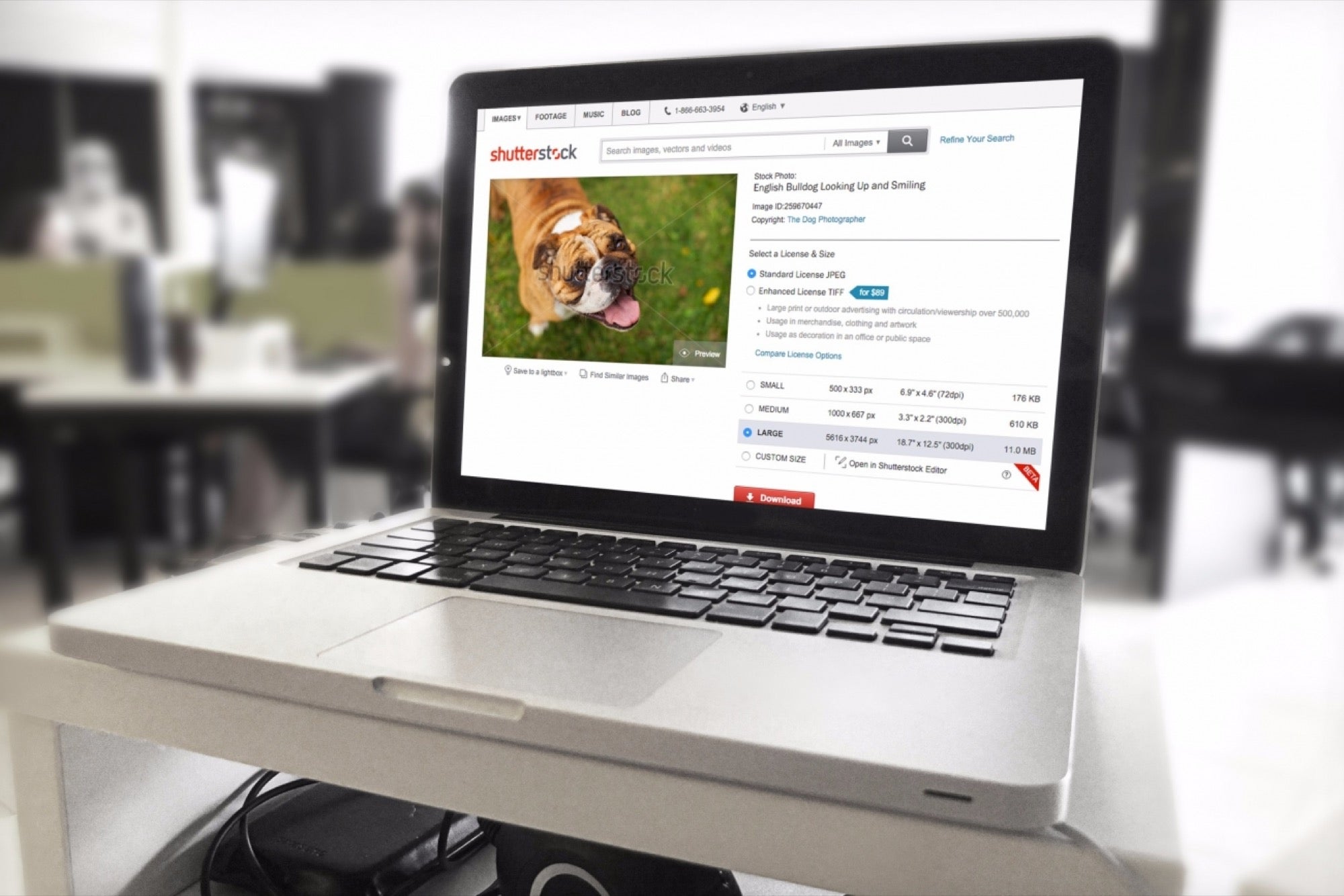 How Shutterstock Is Training Its System to Help You Find Better Photos ...