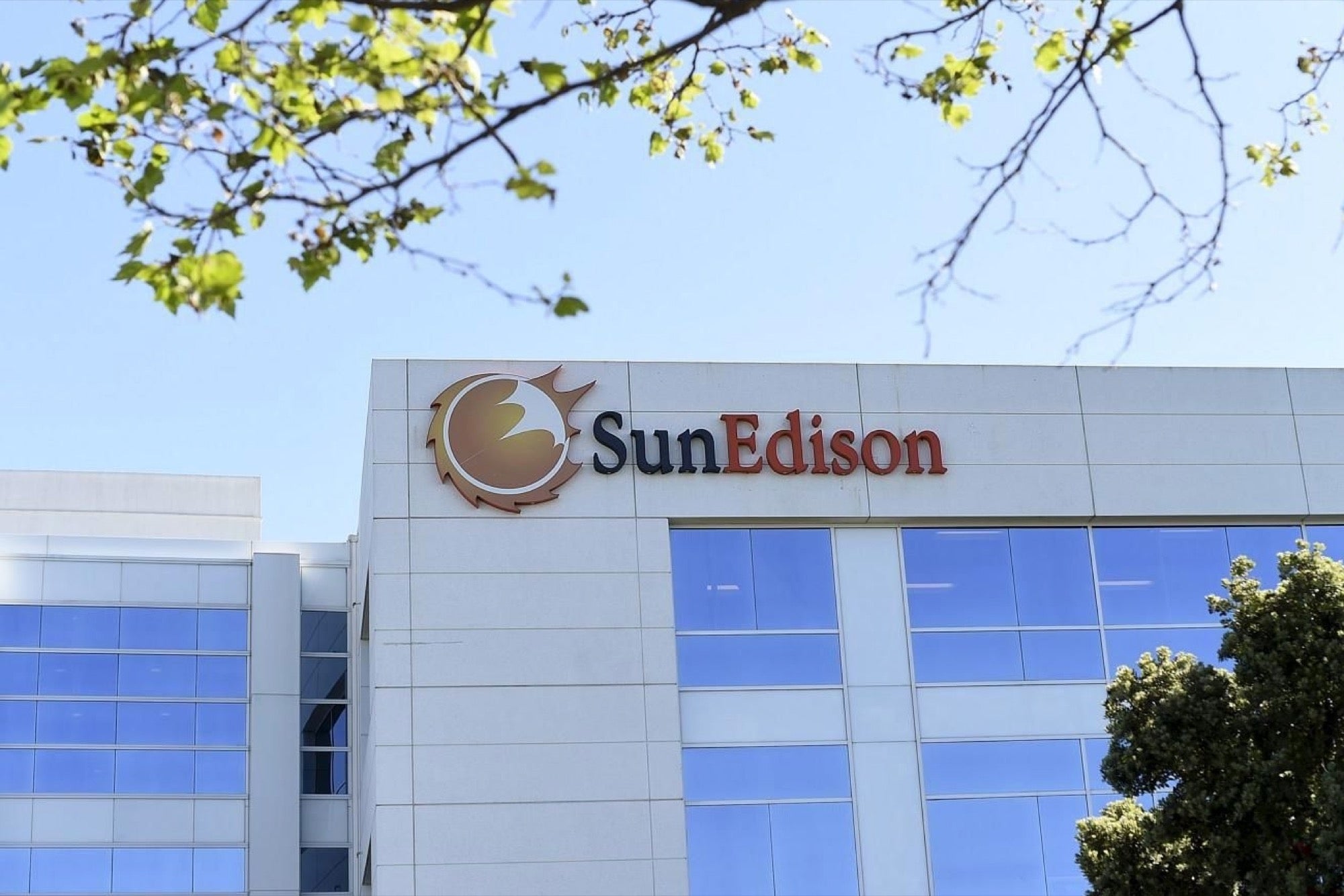 SunEdison Files for Chapter 11 Bankruptcy Protection | Entrepreneur