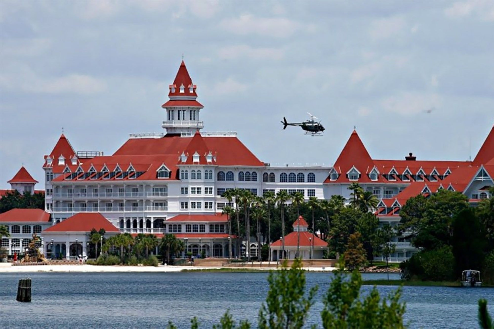 Disney Faces PR Crisis, Risk of Legal Action After Gator Attack ...