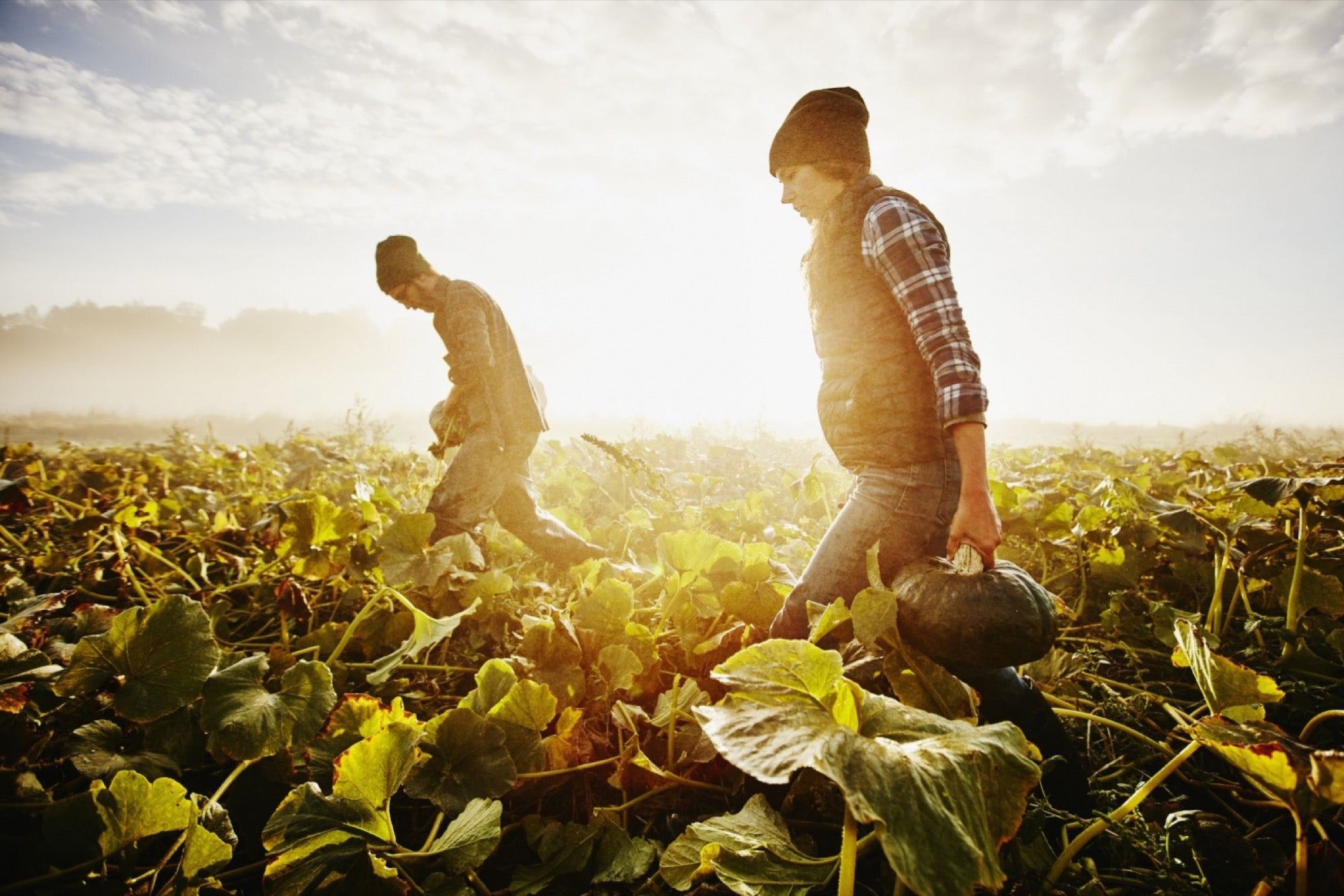 Hunter? Farmer? Your Natural Mindset Helps Determine How Many Deals You ...