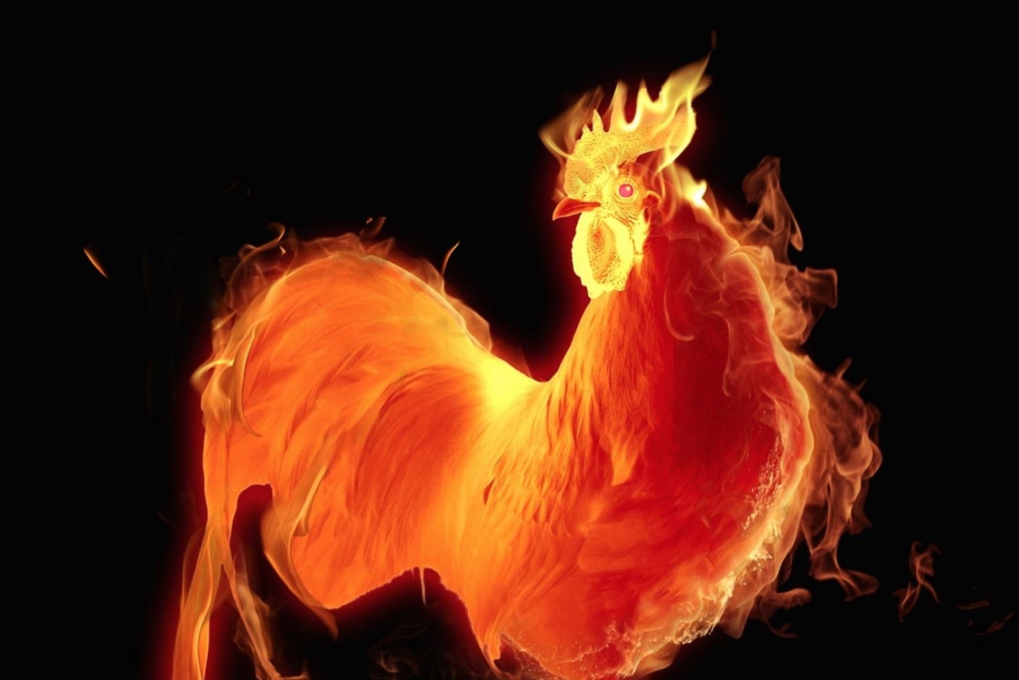 Take Your Inspiration for Success From the Fire Rooster | Entrepreneur