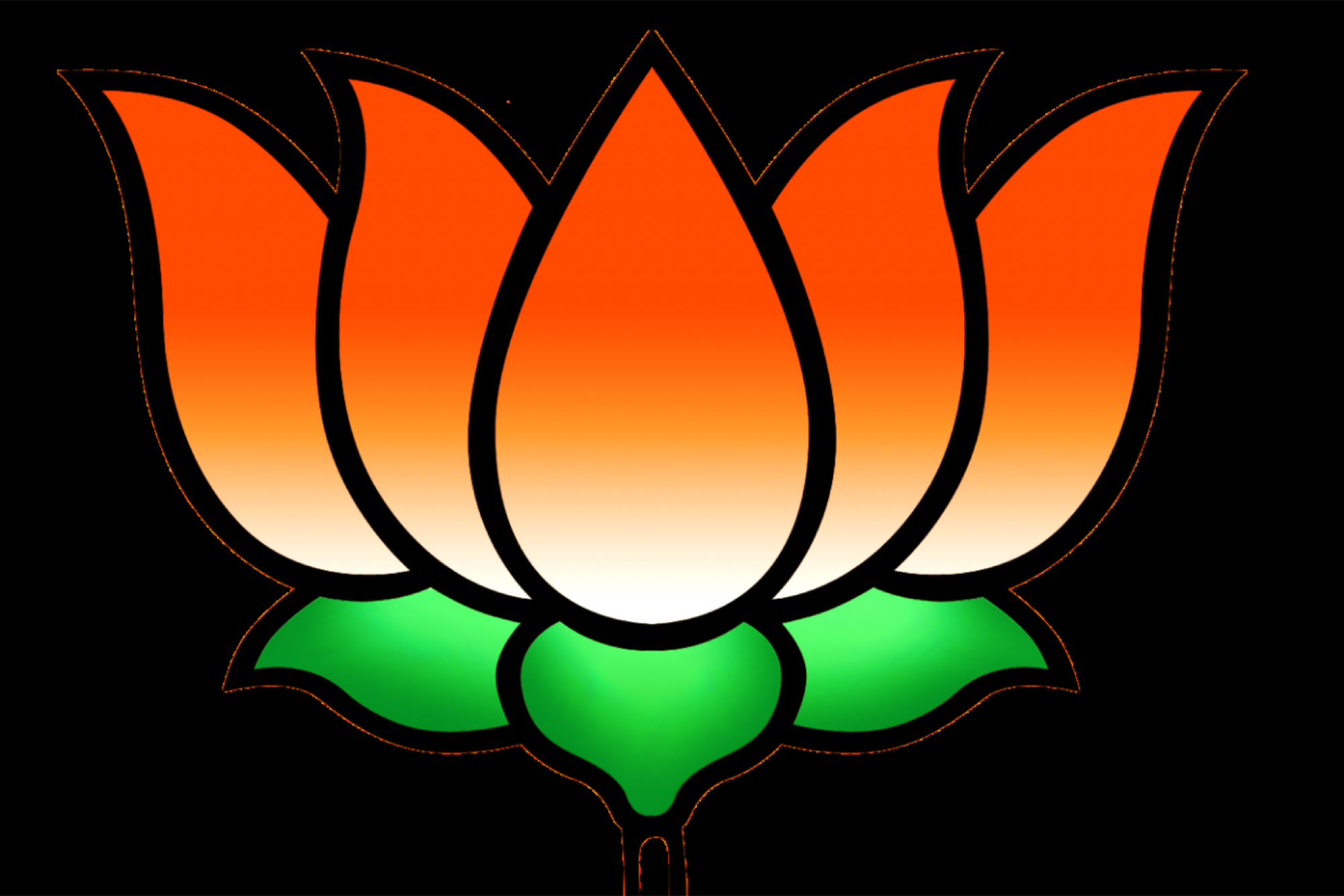 Lotus Blooms in India's Largest State for the 1st Time Since 2003 ...