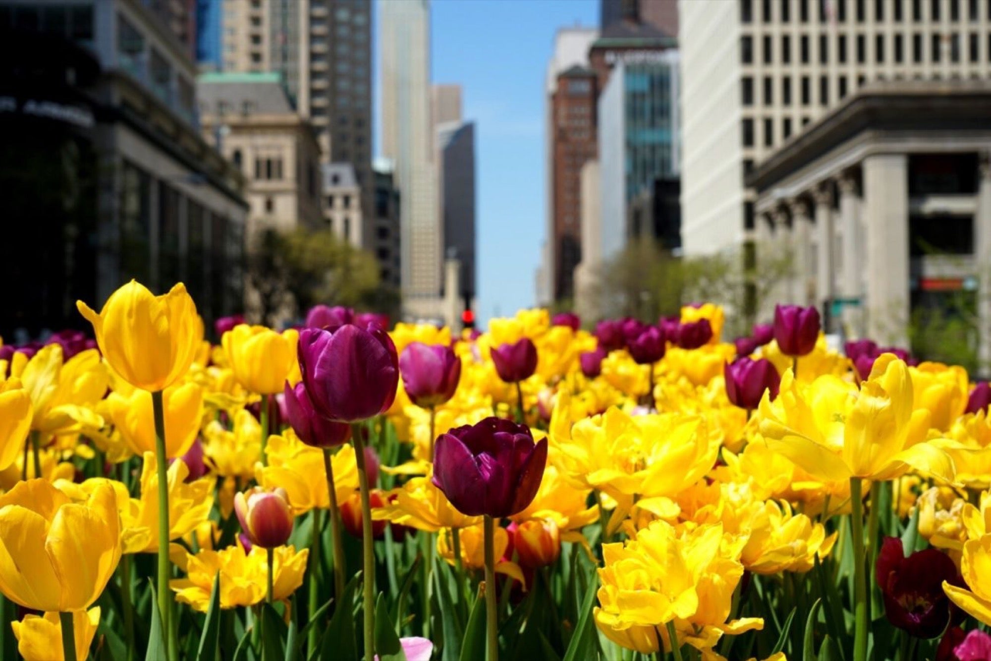 4 Springtime Strategies to Liven up Your Company Culture | Entrepreneur