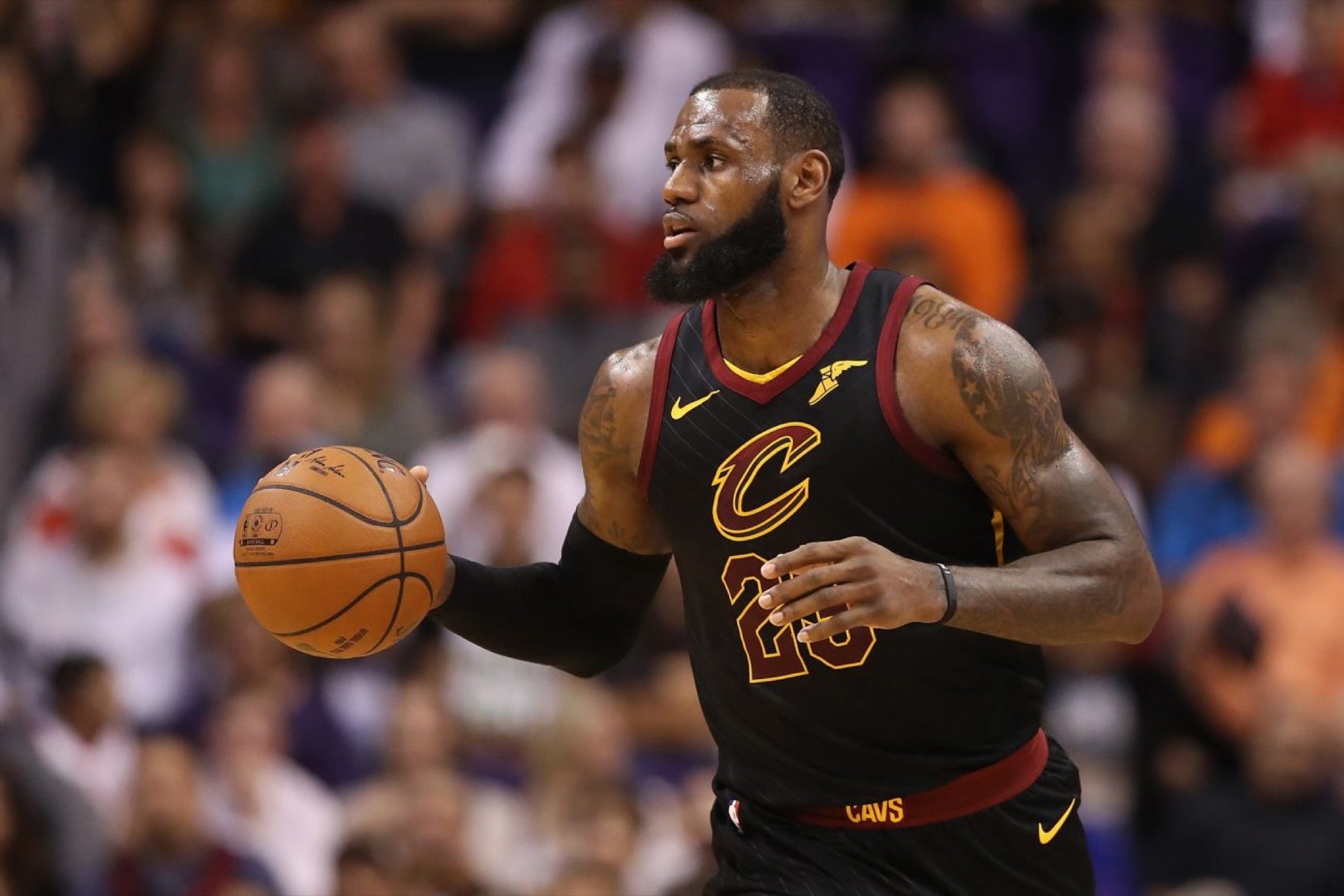 Why Are We So Good at Finding the Next LeBron but Not the Next Einstein ...