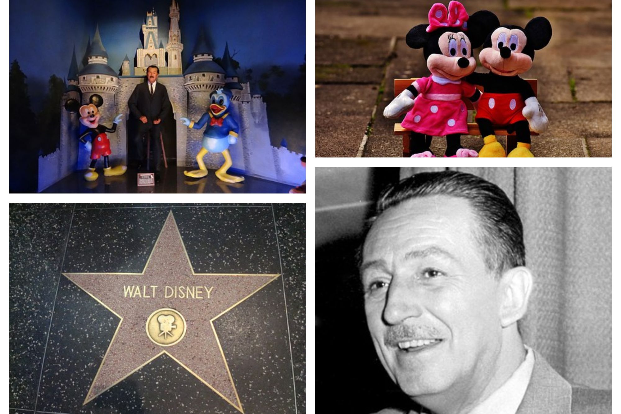 Walt disney coming back to life december 2021 - nipodfactor