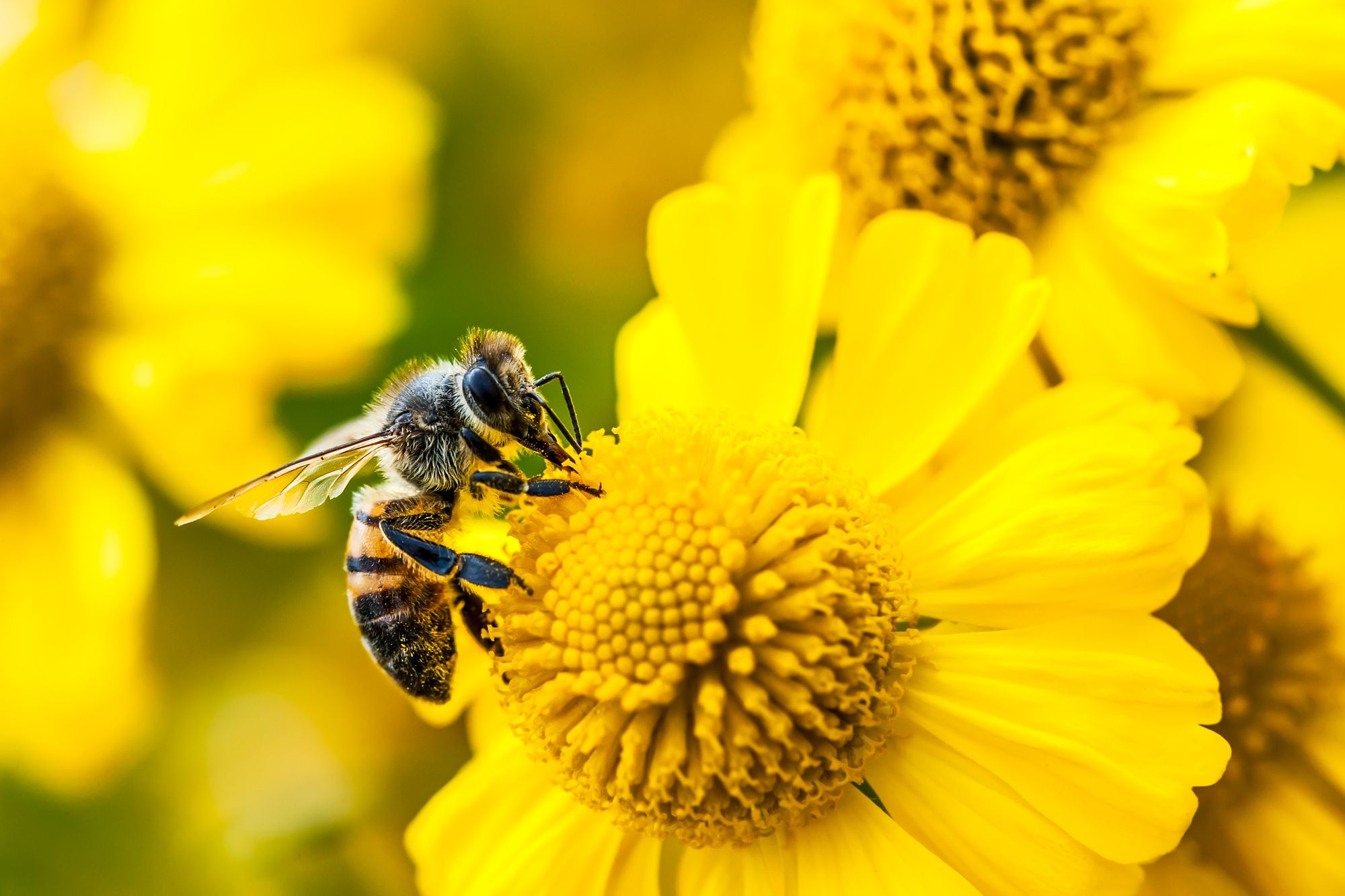 The Complete Guide to Building 'Buzz' and Getting Press for You and ...