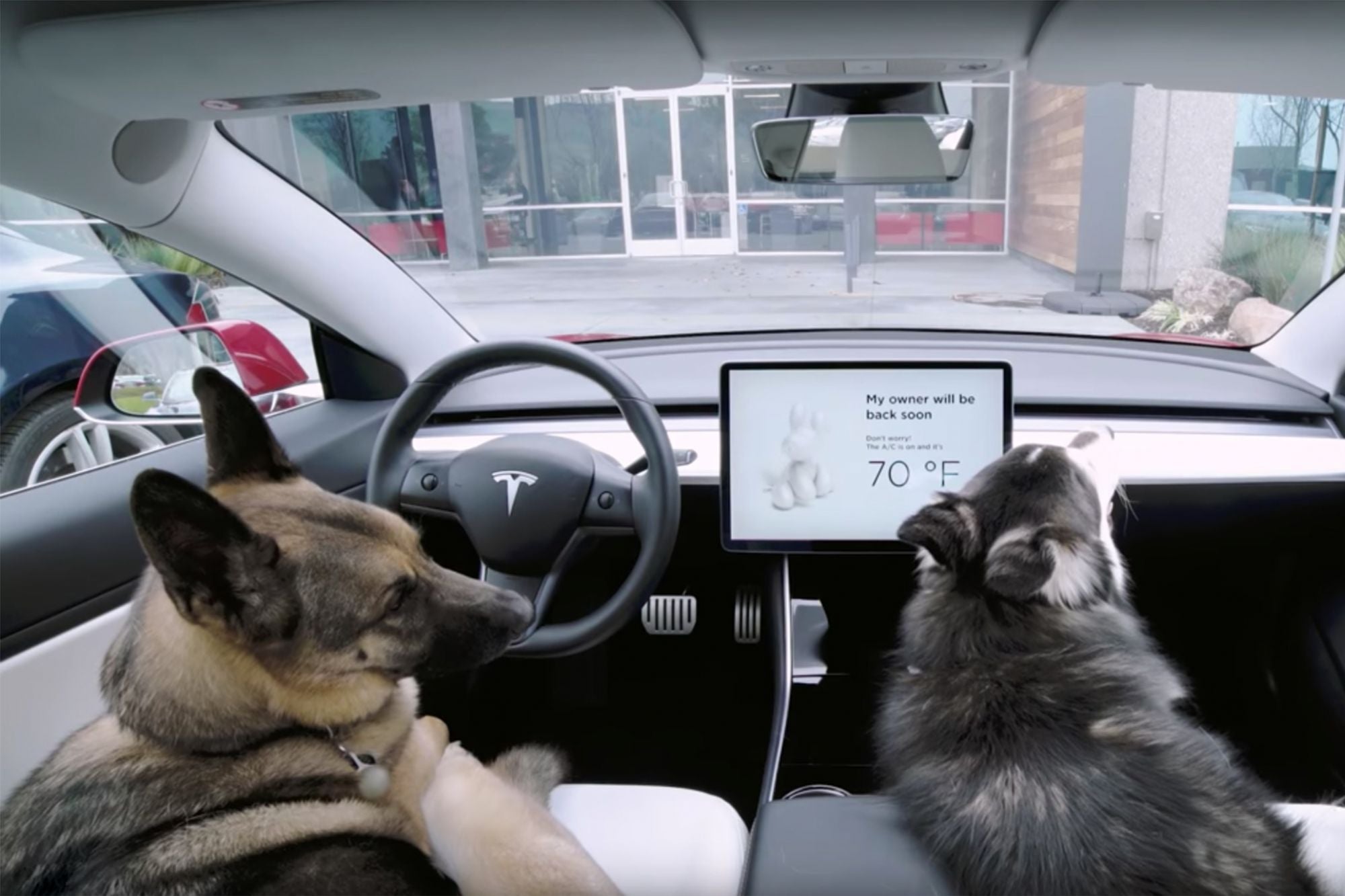 Tesla Working on a Fix for Dangerous 'Dog Mode' Flaw | Entrepreneur