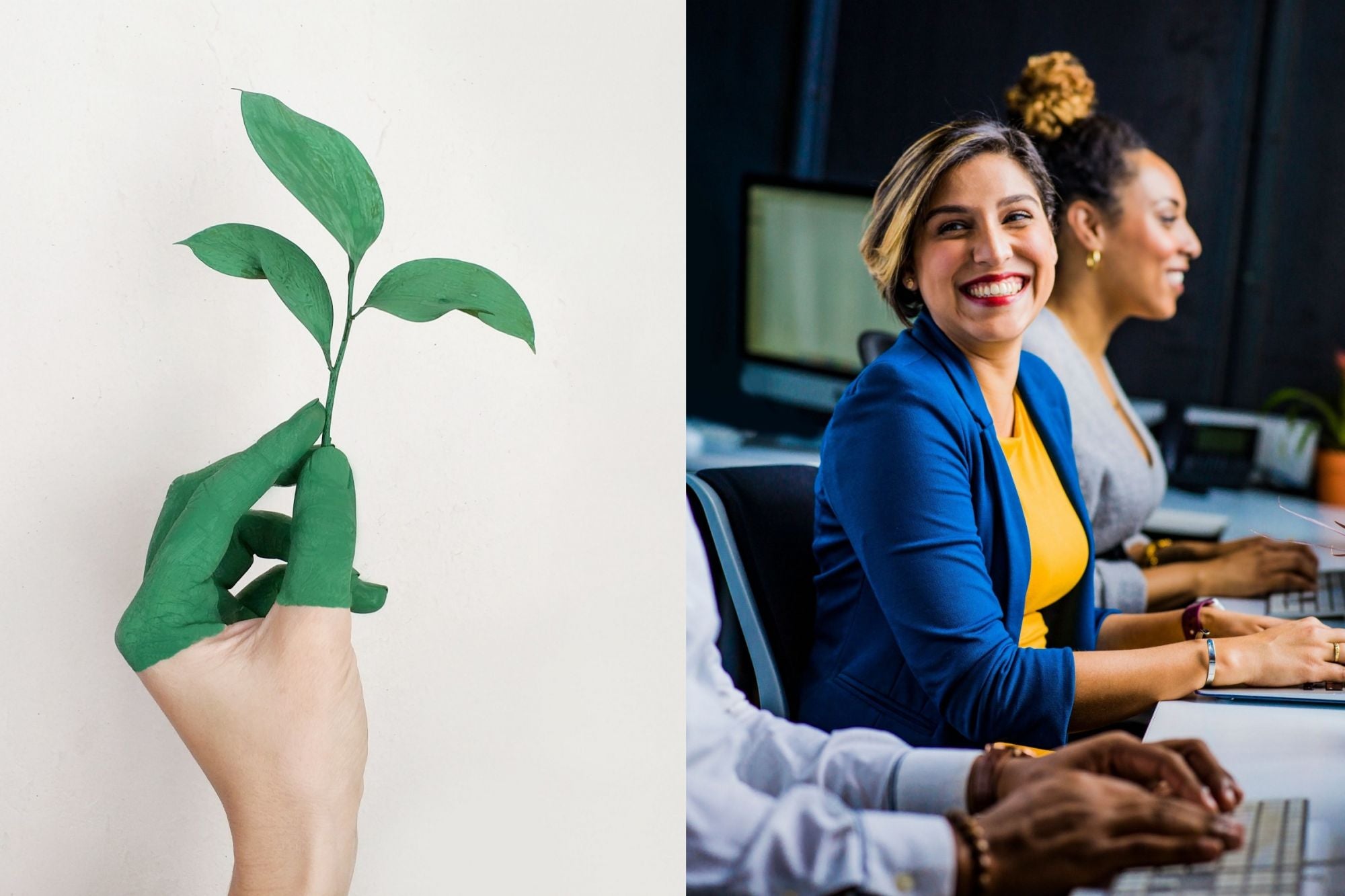 Meet The Eco-Minded Entrepreneurs Who Are Making Money And Saving The ...
