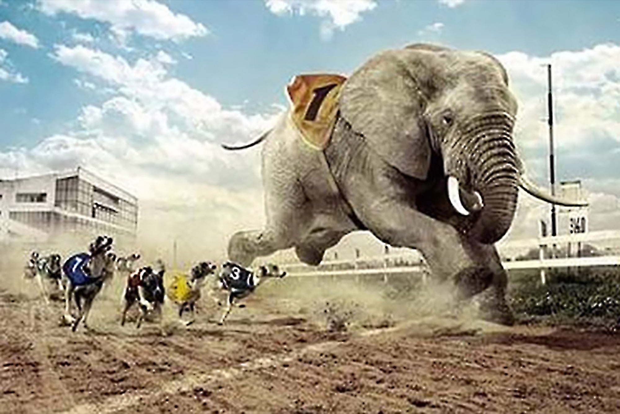 Why You Should Ditch Your 'Go Big or Go Home' Mentality | Entrepreneur