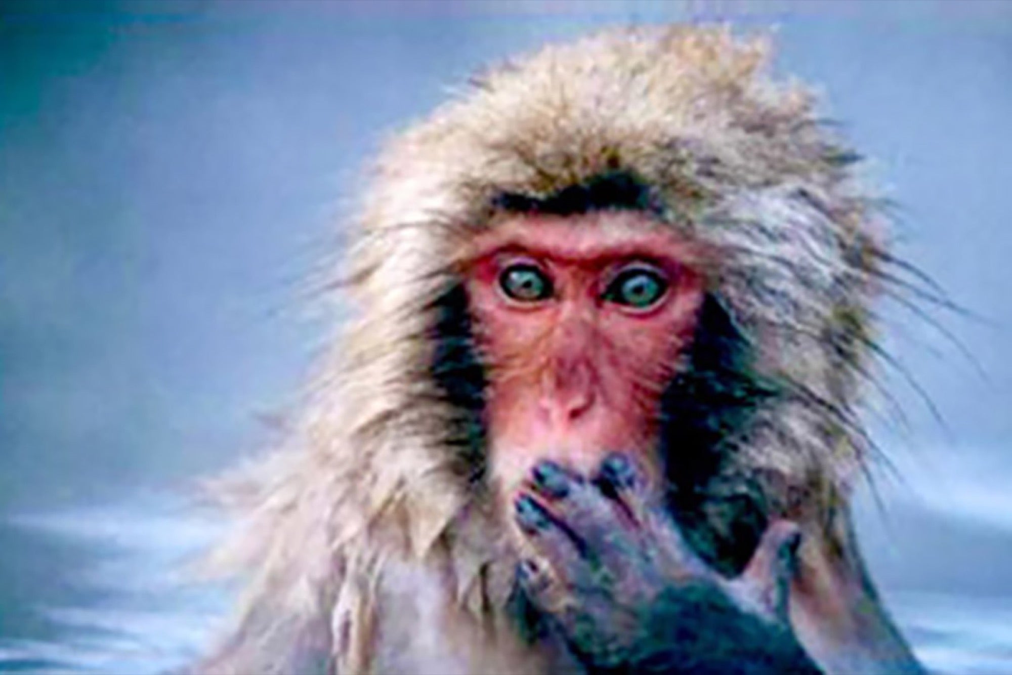 Oops, My Bad! 5 Ways Your Business Can Improve by Admitting to Mistakes ...