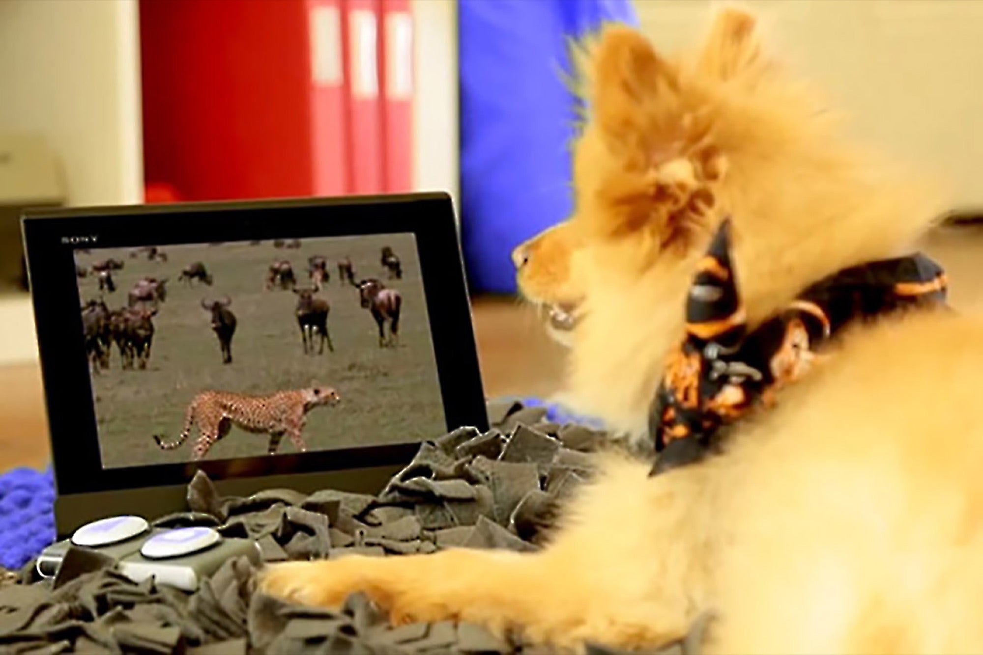 Gotcha! A Roundup of April Fools' Day Pranks From Around Tech and ...