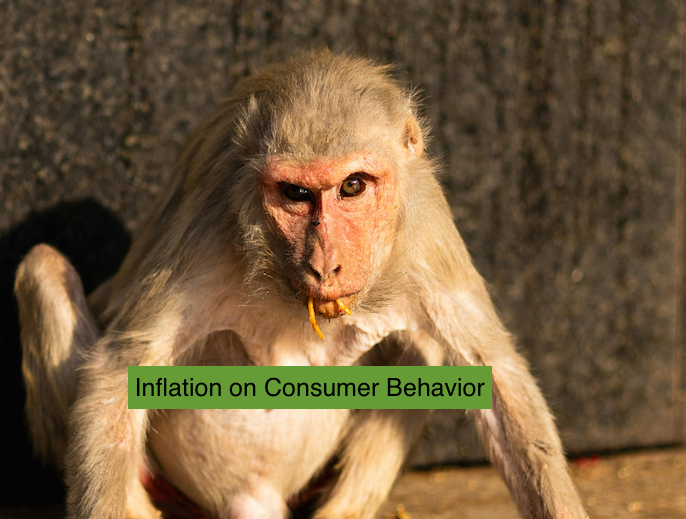 The Psychological Impact of Inflation on Consumer Behavior | Entrepreneur
